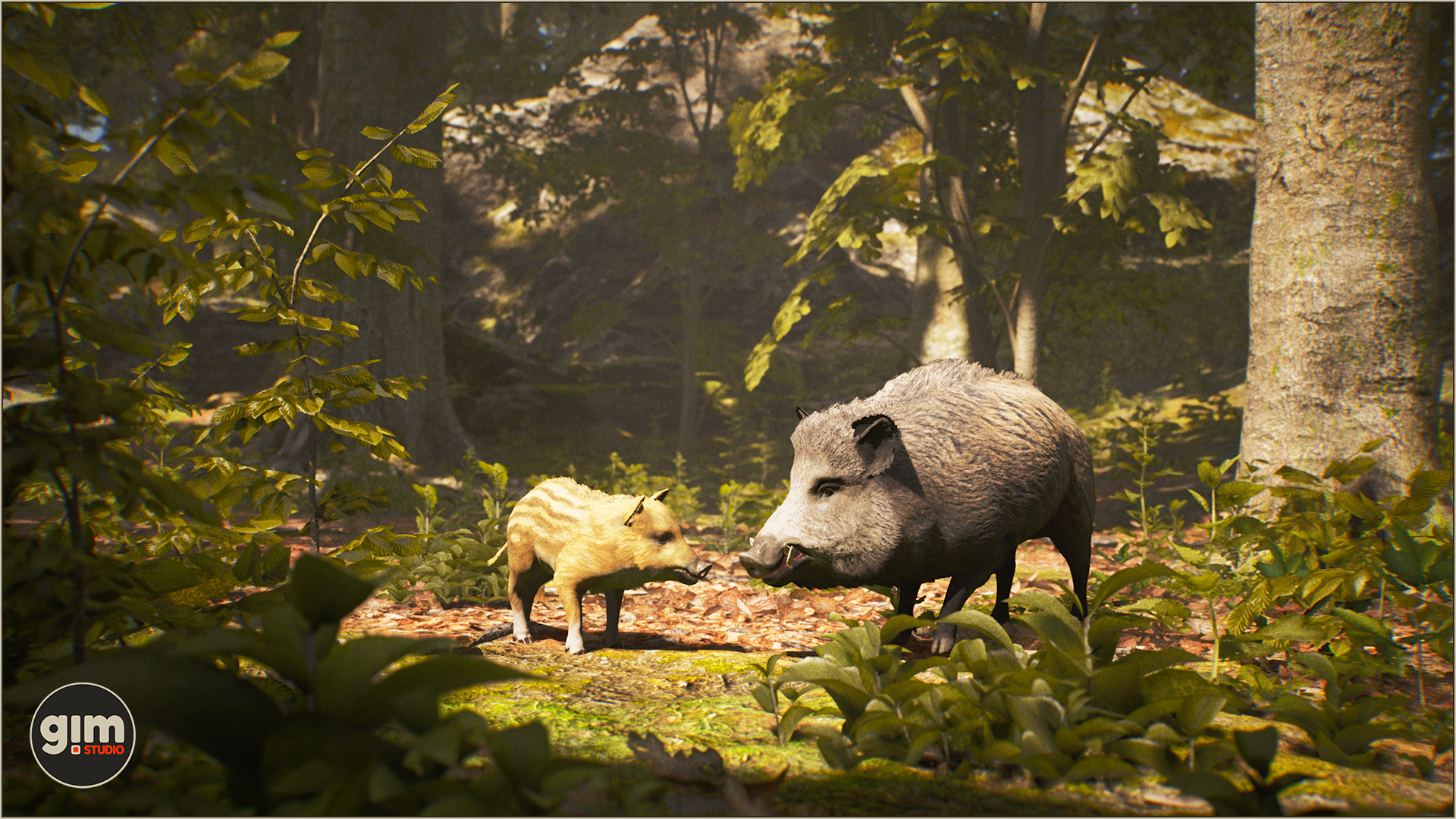 Animalia - Wild Boar (pack)