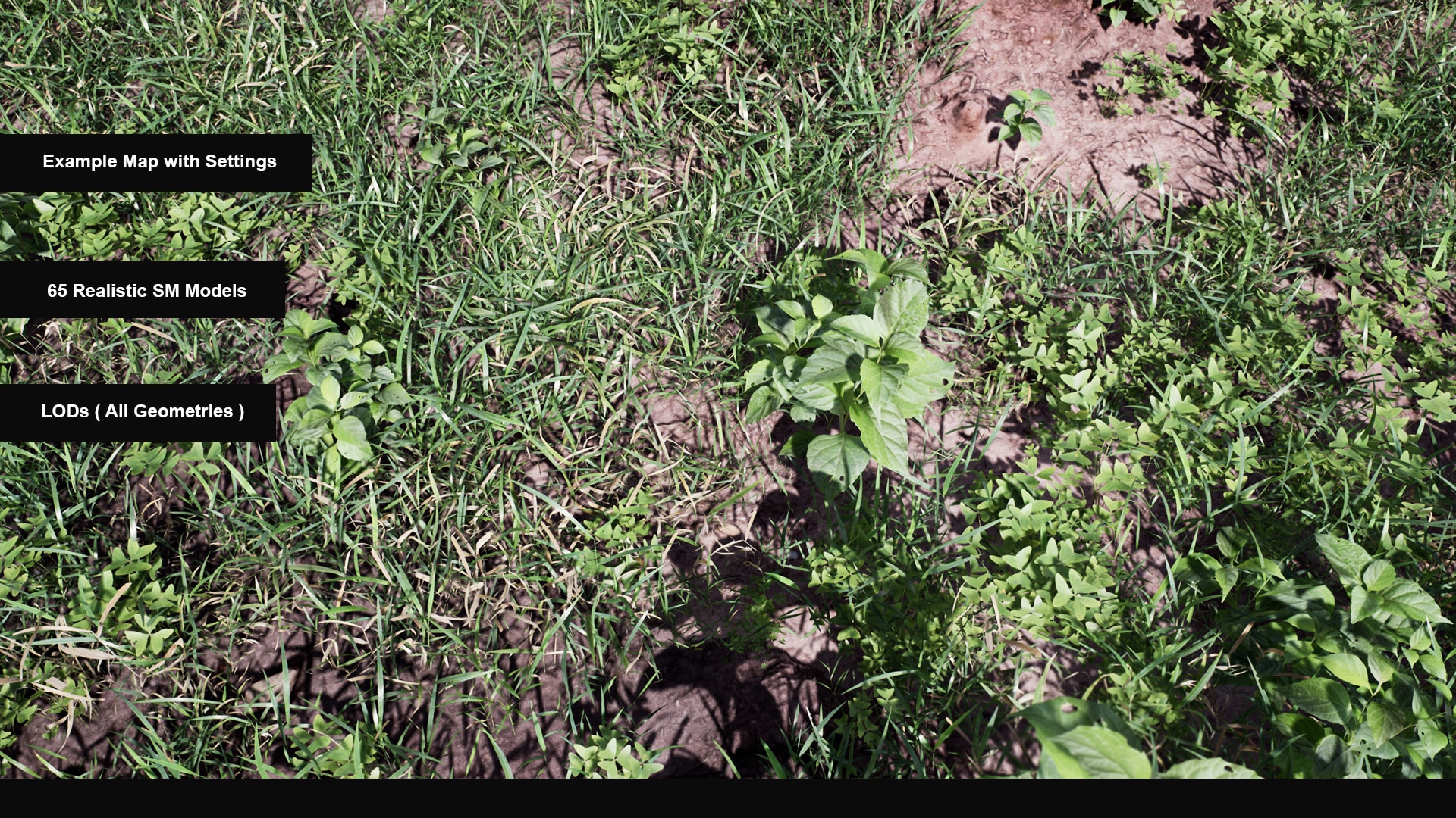 在环境创建的Realistic Grass Pack 02 - 虚幻引擎商城