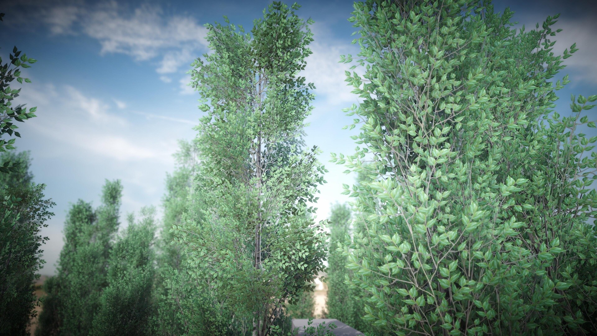 在道具创建的mega Tree Bundle Mobilepc 虚幻引擎商城