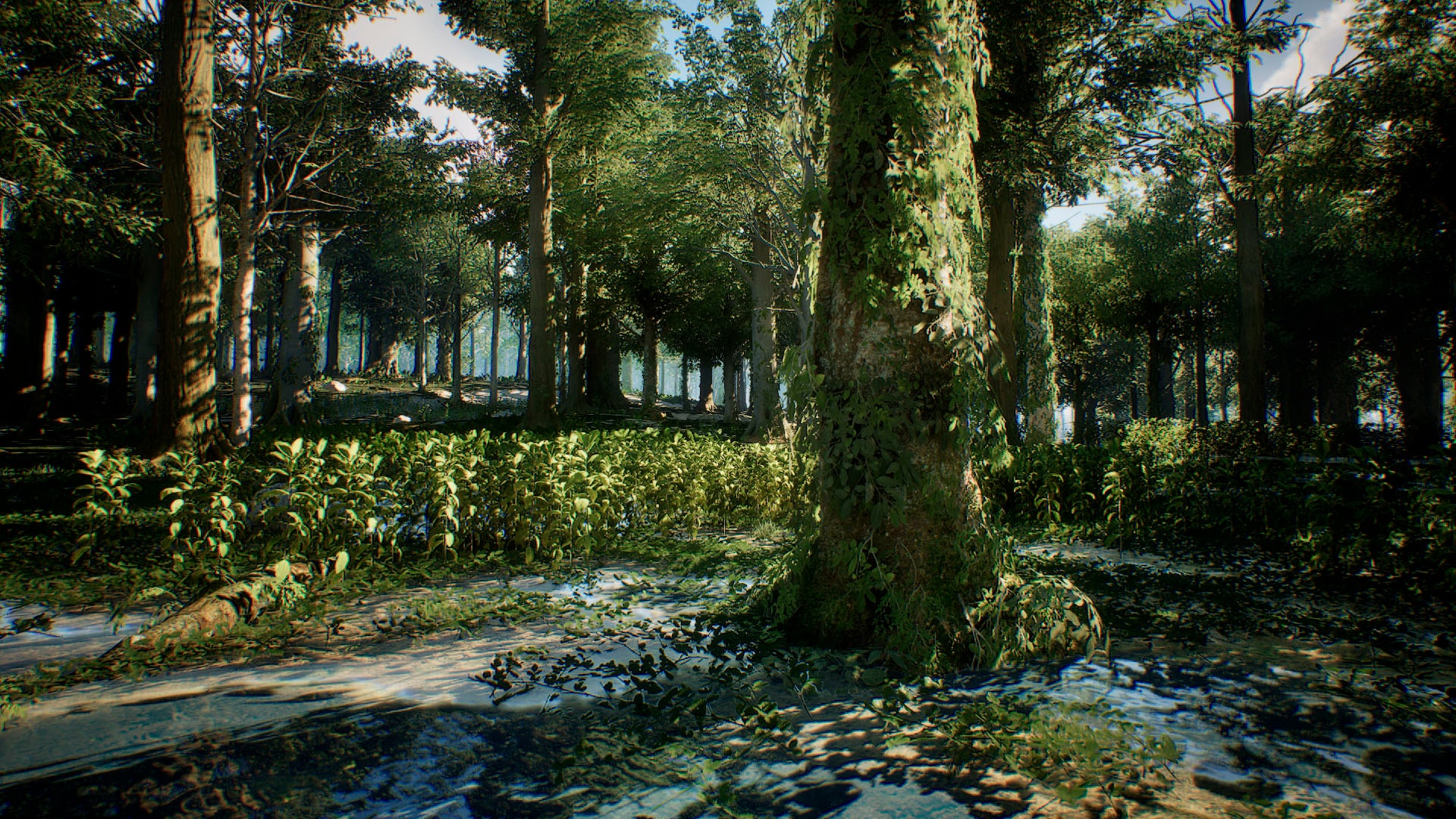 Tropical Forest with Interactive Plants and Sound (3DVEZ V4) in Props ...