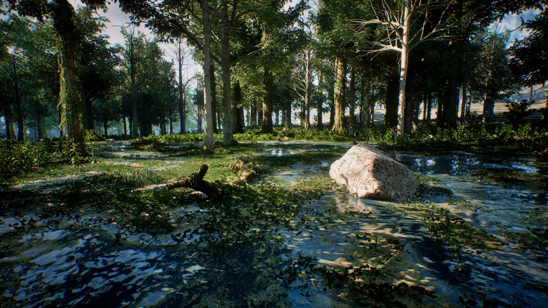 Tropical Forest with Interactive Plants and Sound (3DVEZ V4) in Props ...