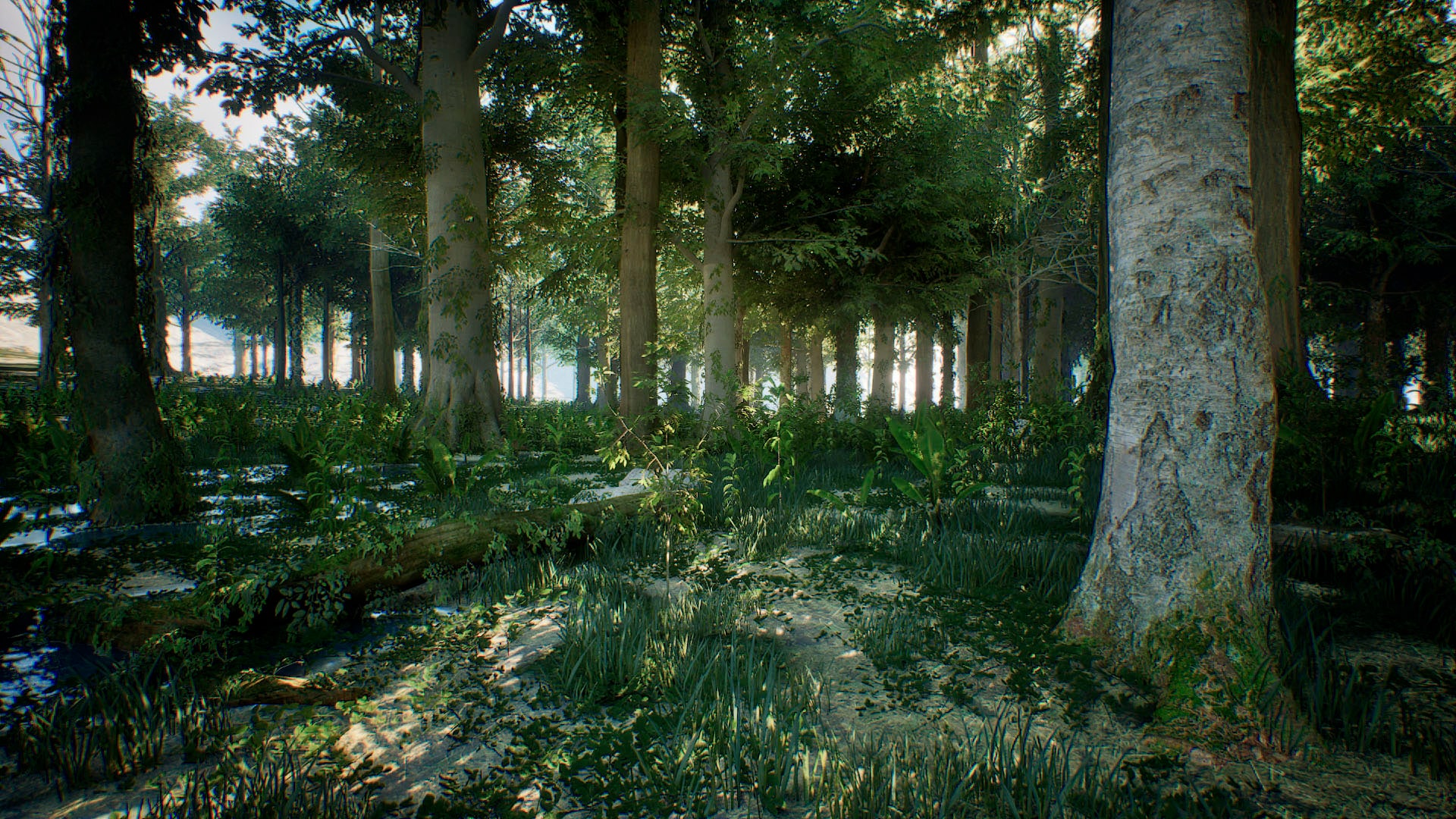 Tropical Forest with Interactive Plants and Sound (3DVEZ V4) in Props ...