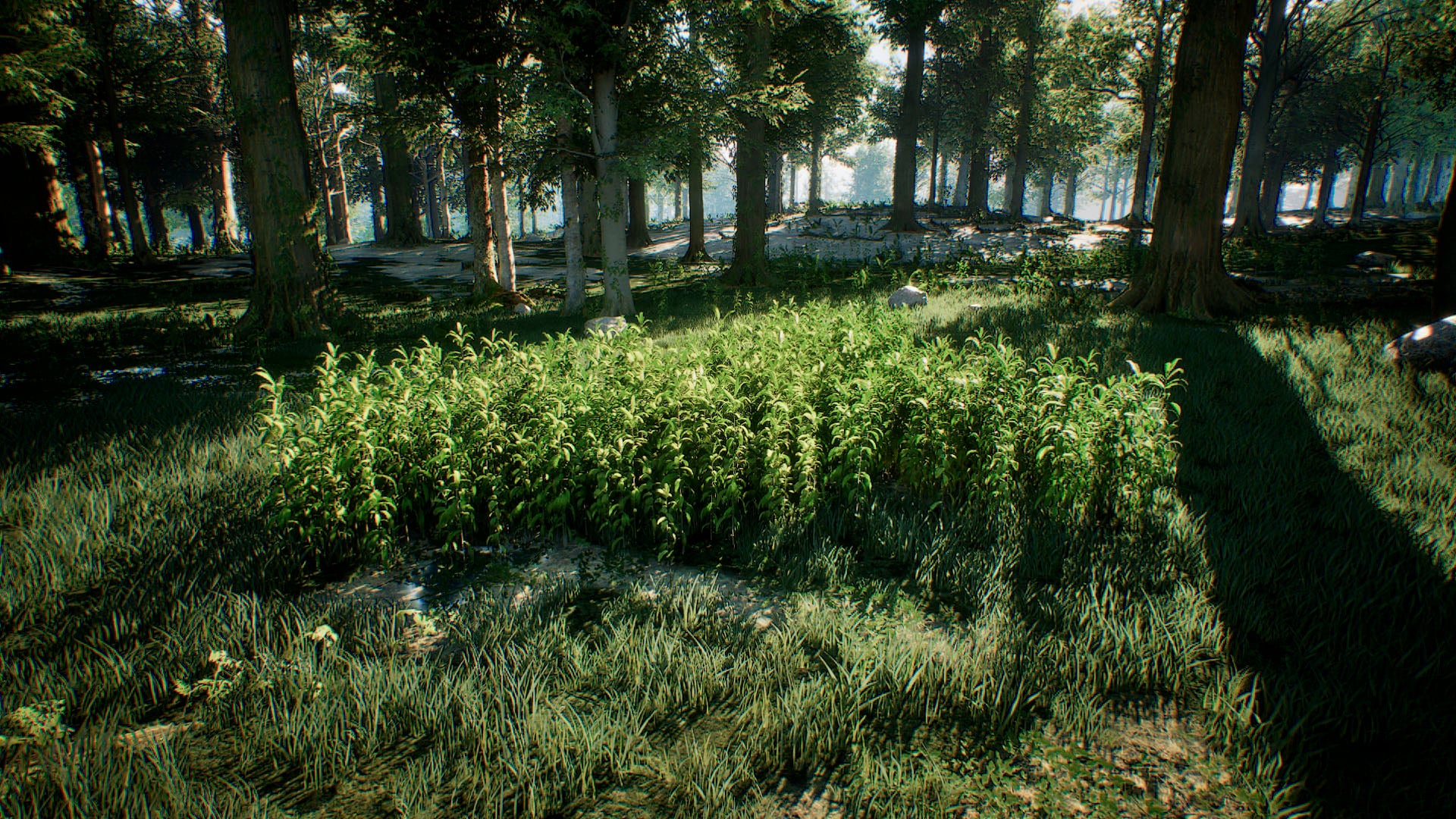 Tropical Forest with Interactive Plants and Sound (3DVEZ V4) in Props ...