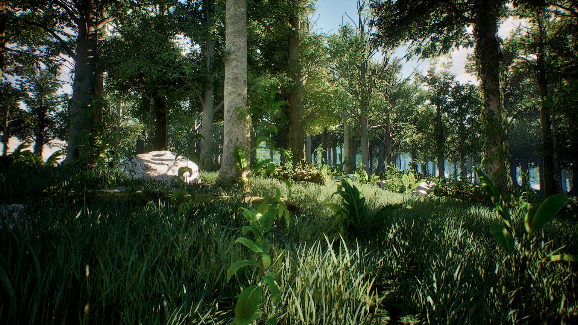 Tropical Forest with Interactive Plants and Sound (3DVEZ V4) in Props - UE Marketplace