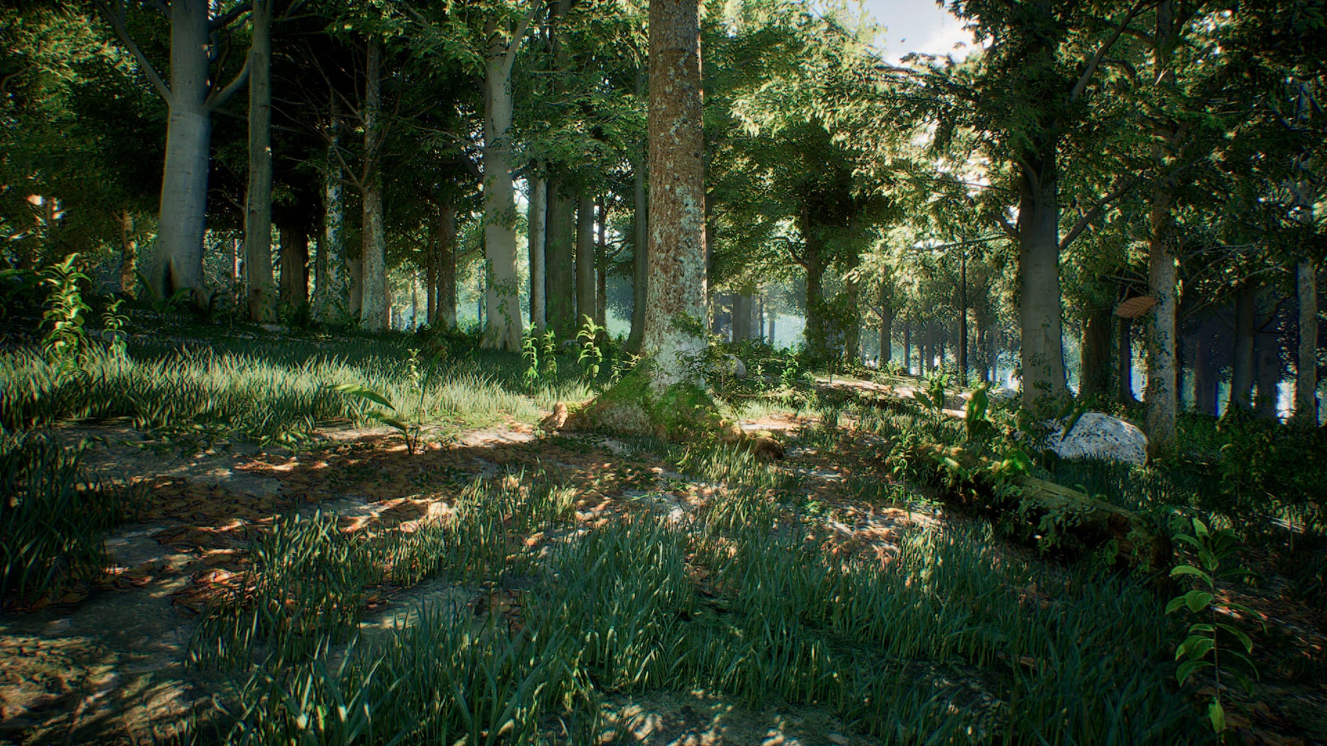 Tropical Forest with Interactive Plants and Sound (3DVEZ V4) in Props ...