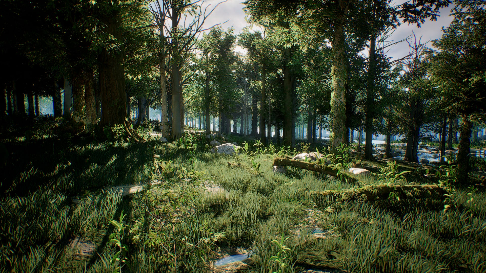 Tropical Forest with Interactive Plants and Sound (3DVEZ V4) in Props ...