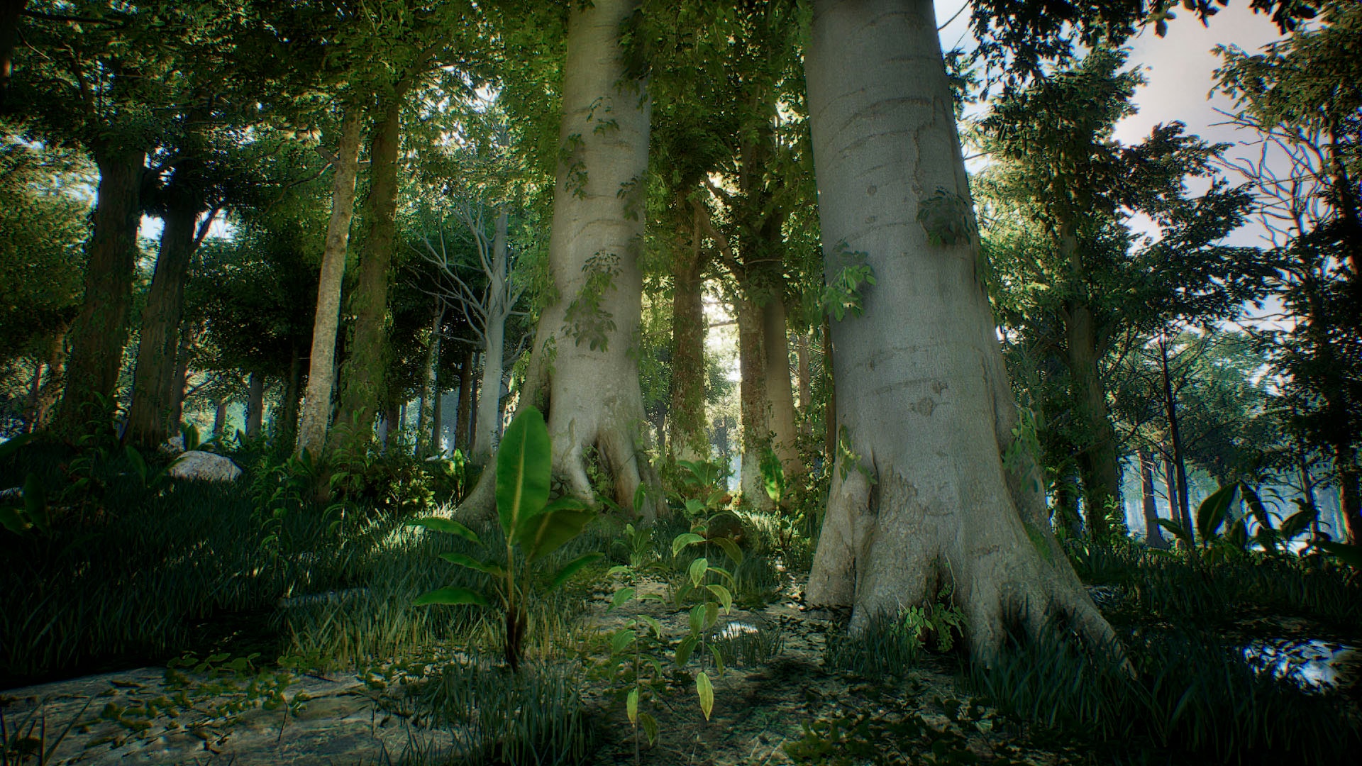 Tropical Forest with Interactive Plants and Sound (3DVEZ V4) in Props - UE Marketplace