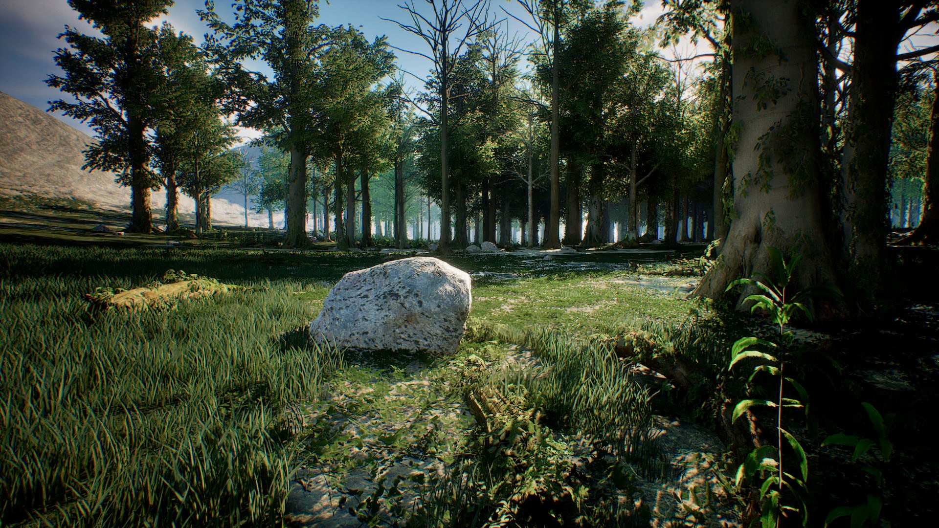 Tropical Forest with Interactive Plants and Sound (3DVEZ V4) in Props ...