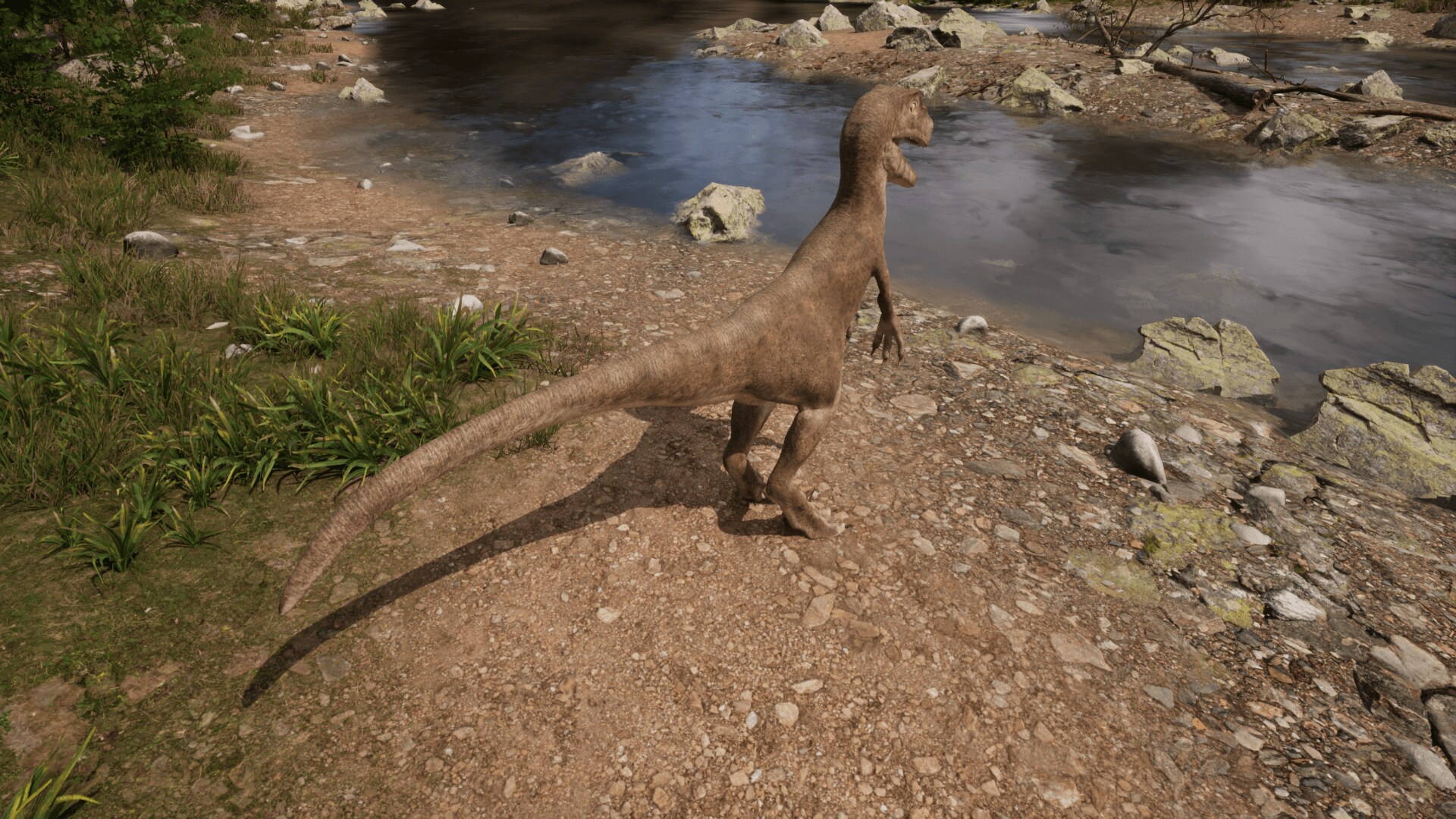 Velociraptor Character Rigged Animated in Characters - UE Marketplace