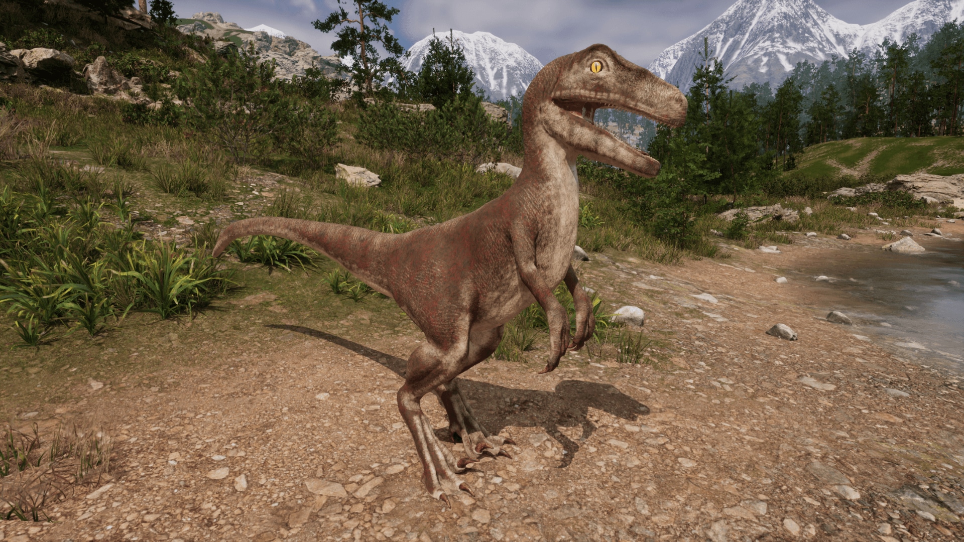 Velociraptor Character Rigged Animated in Characters - UE Marketplace