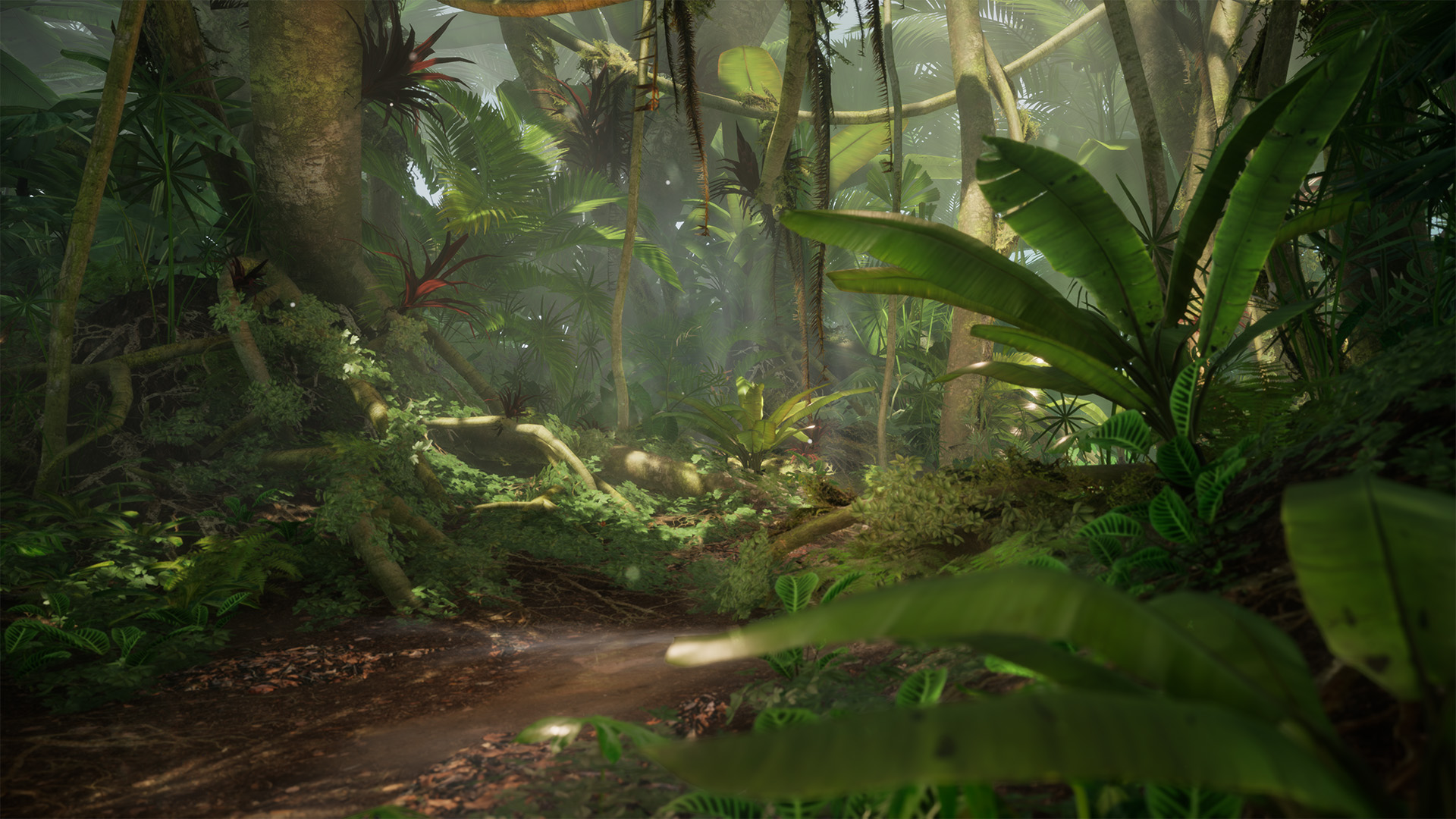 Jungle Foliage Pack In Environments UE Marketplace Jungle Foliage Pack In Environments UE Marketplace