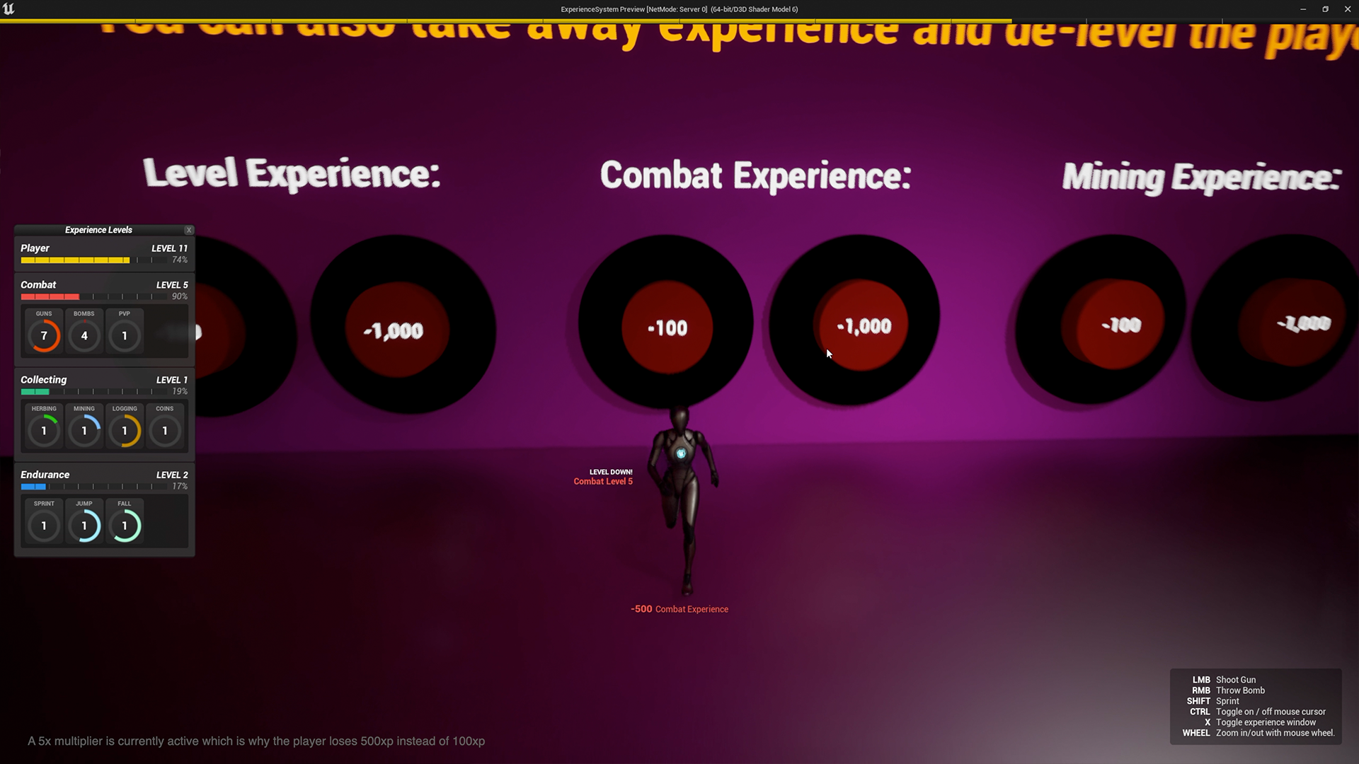 Experience System