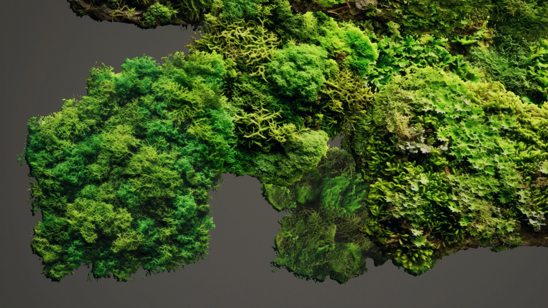 Moss Decal in Blueprints - UE Marketplace