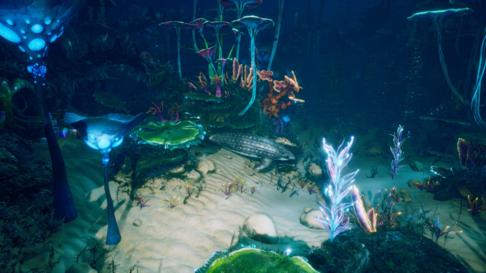 Alien Ocean Environment - Fantasy Planet in Environments - UE Marketplace