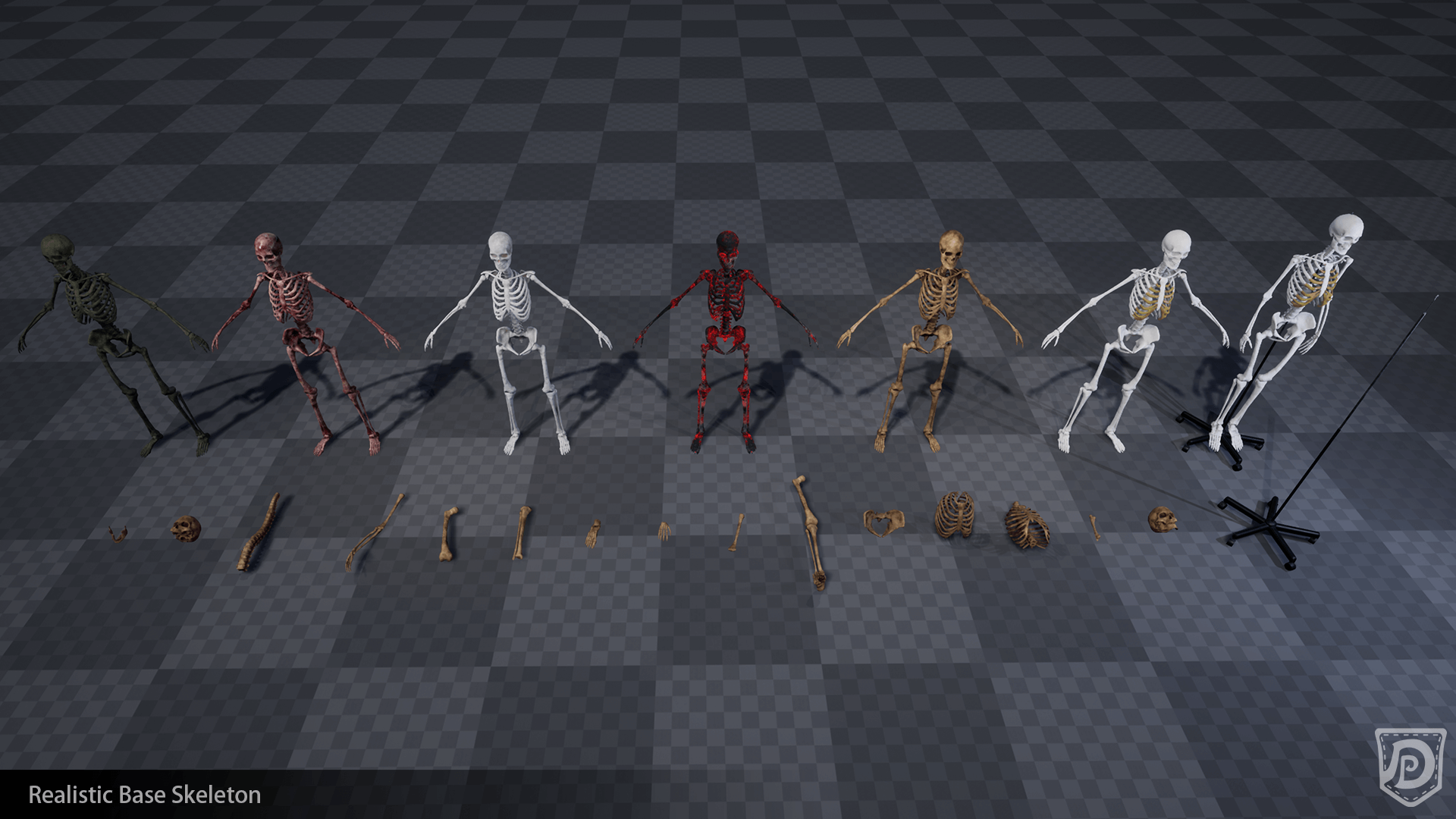 Realistic Base Skeleton