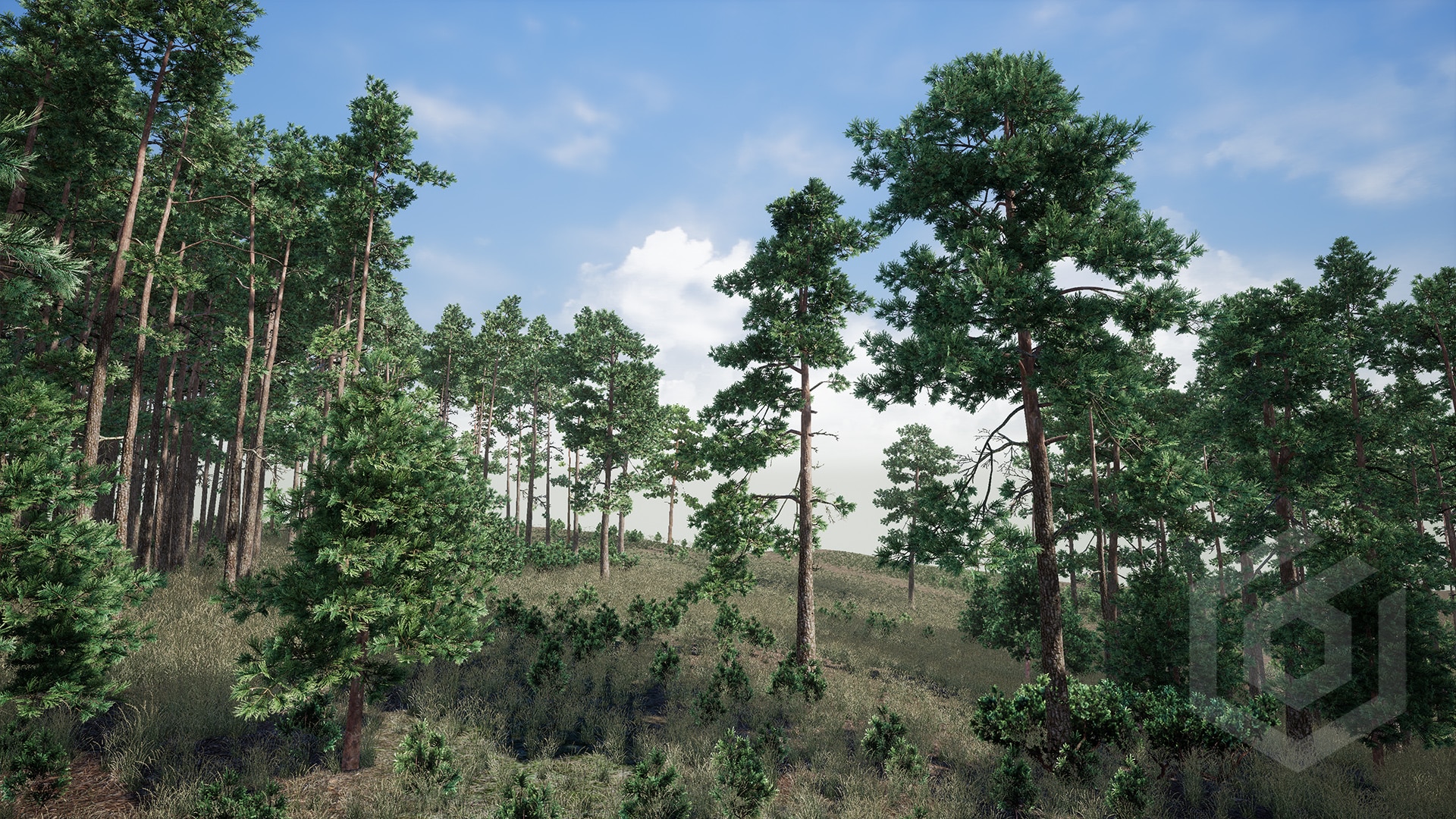 FREE - Asset - 4.26 - 4.27 - Trees: Pine Tree | Unreal Asset