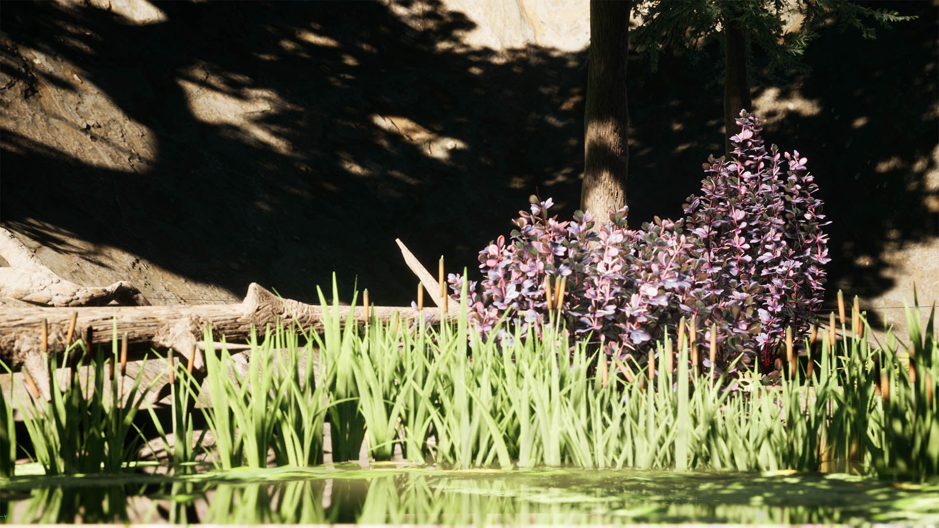 Forest Pack in Environments - UE Marketplace