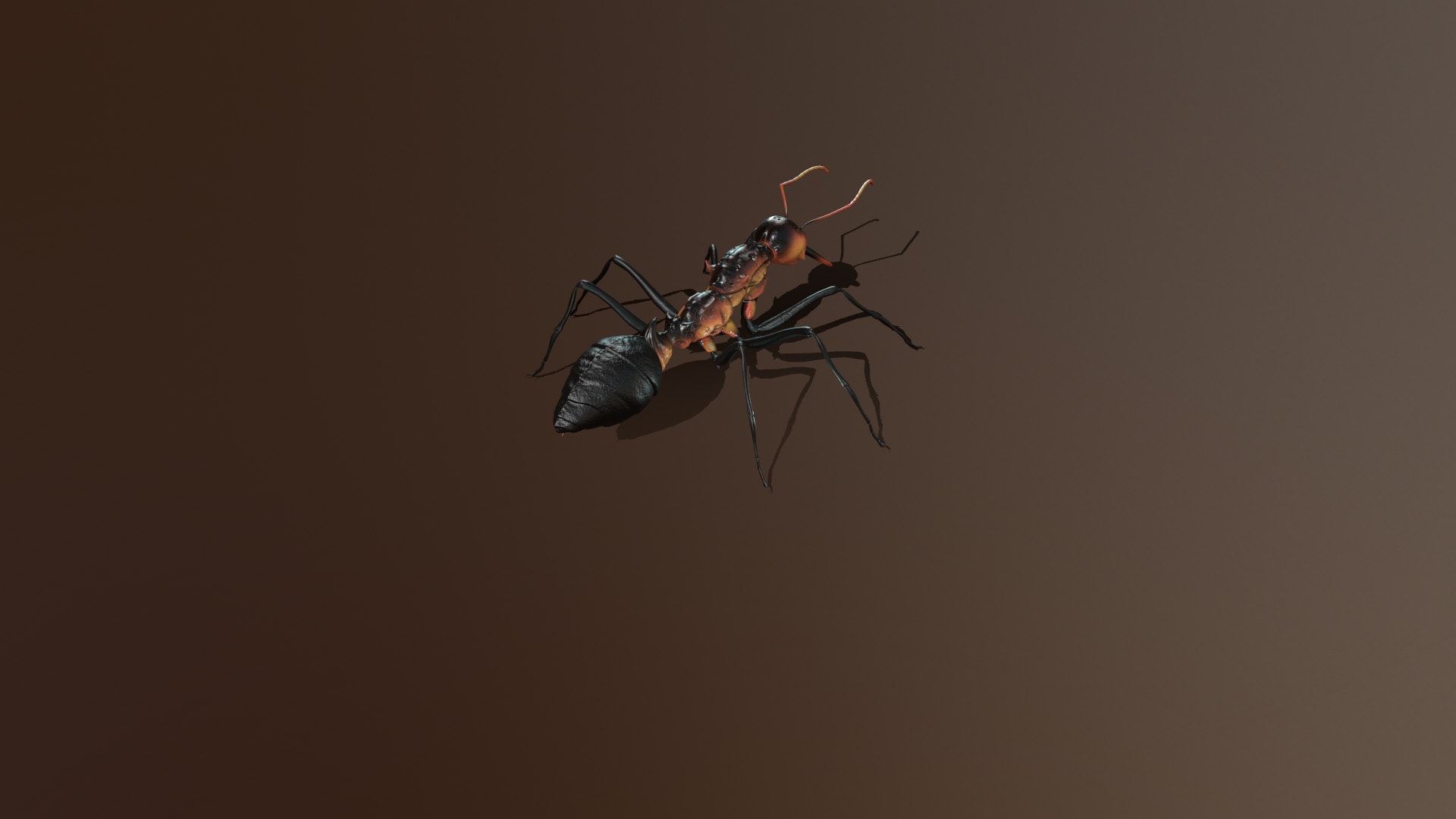 Ant_Soldier in Characters - UE Marketplace