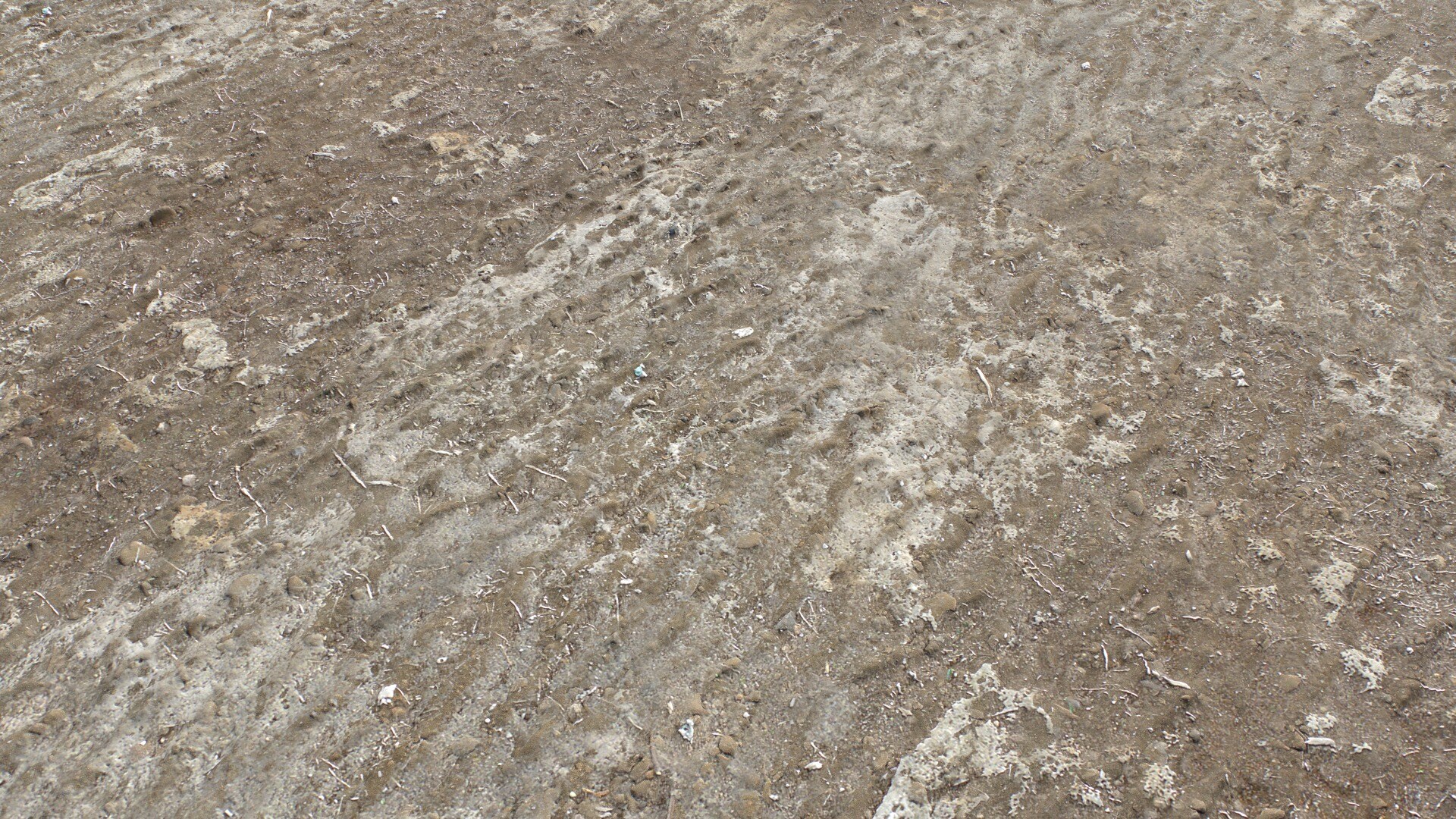 Dirty Sand Textures pack 1 in Textures - UE Marketplace