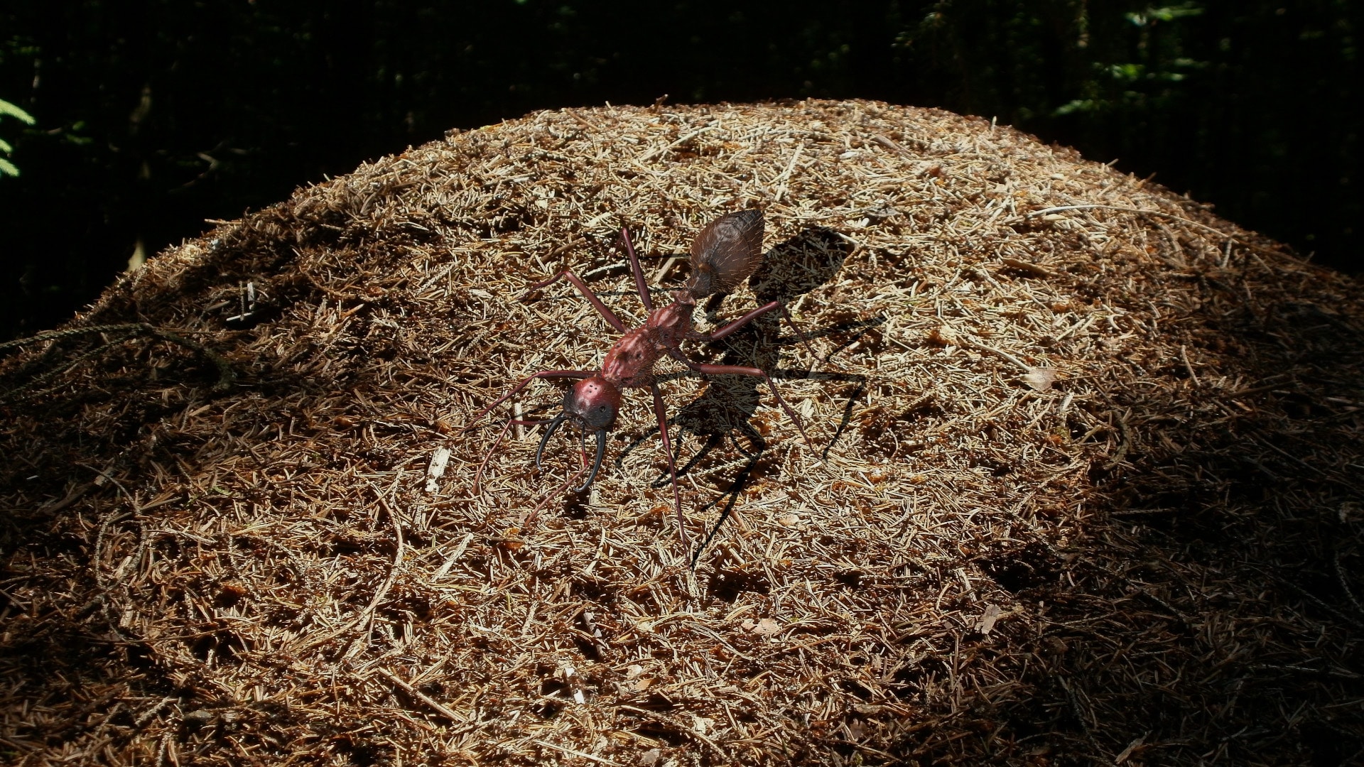 Ant_Soldier in Characters - UE Marketplace