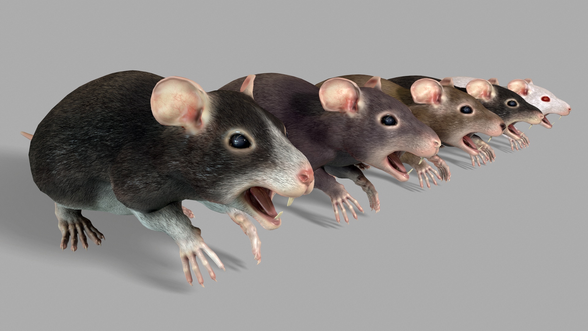 Common Rats in Characters - UE Marketplace