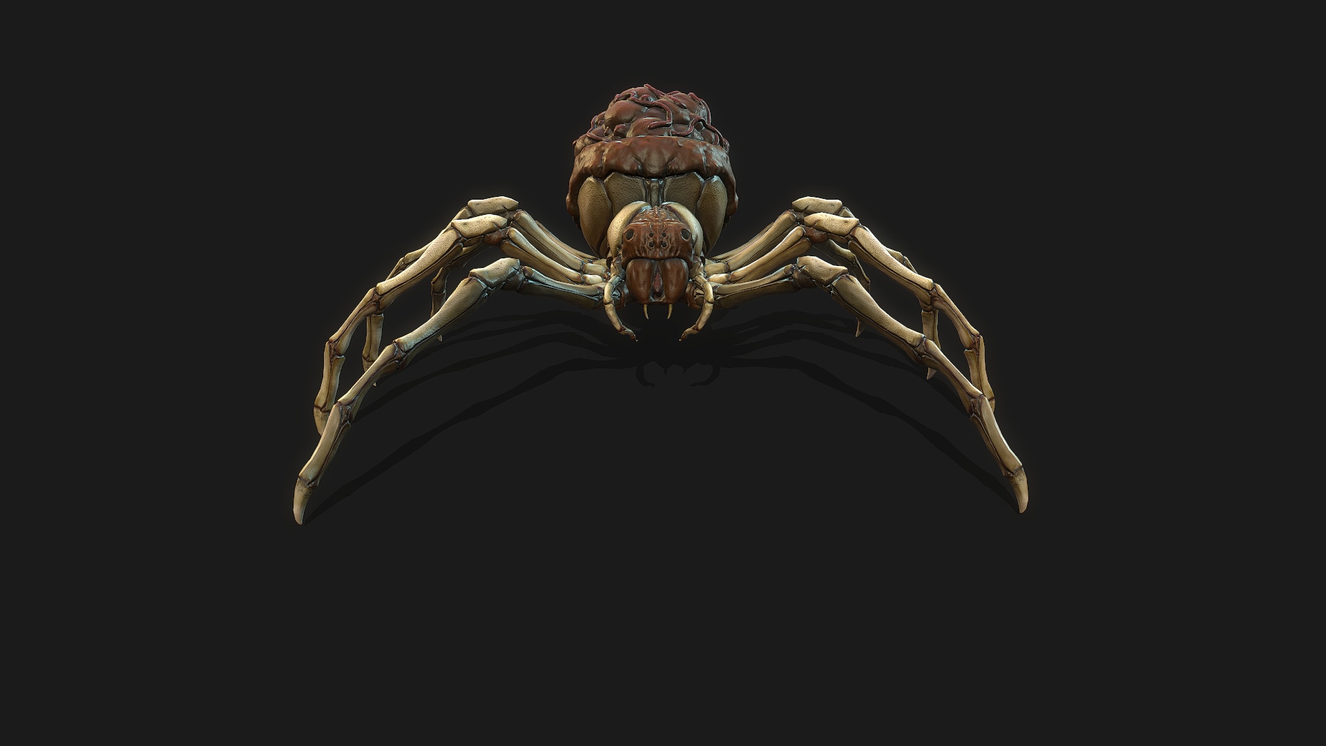 Spider 1 in Characters - UE Marketplace