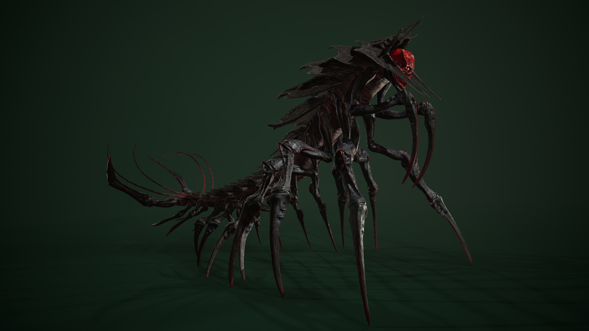 Centipede skull in Characters - UE Marketplace