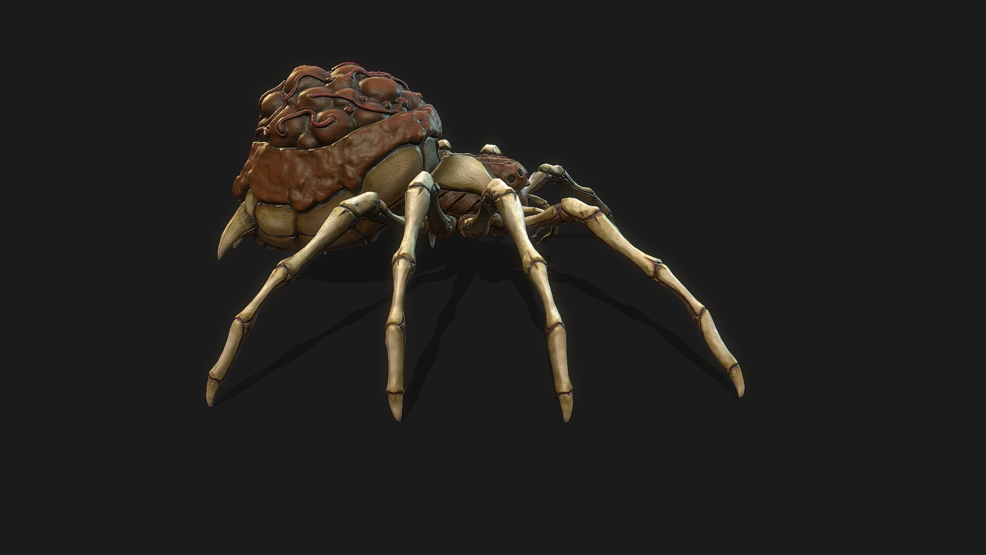 Spider 1 in Characters - UE Marketplace