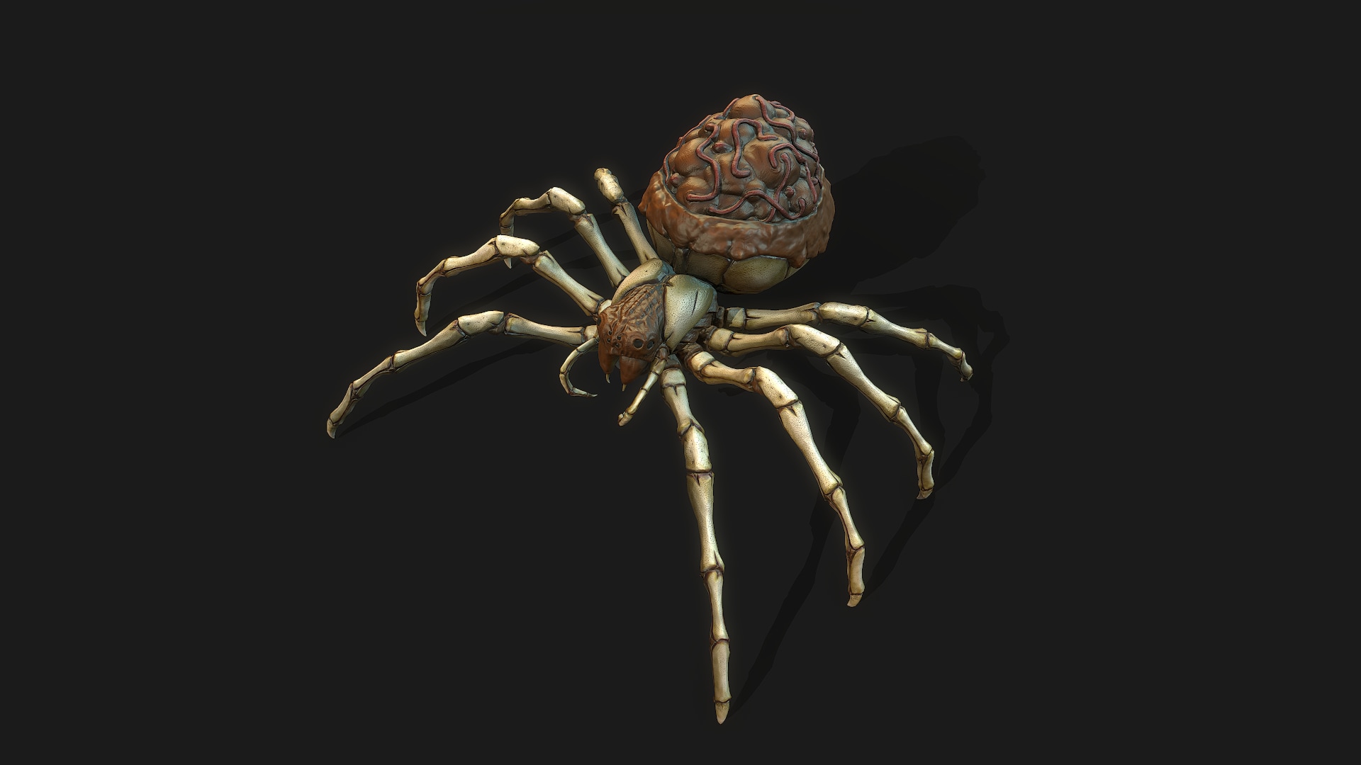Spider 1 in Characters - UE Marketplace