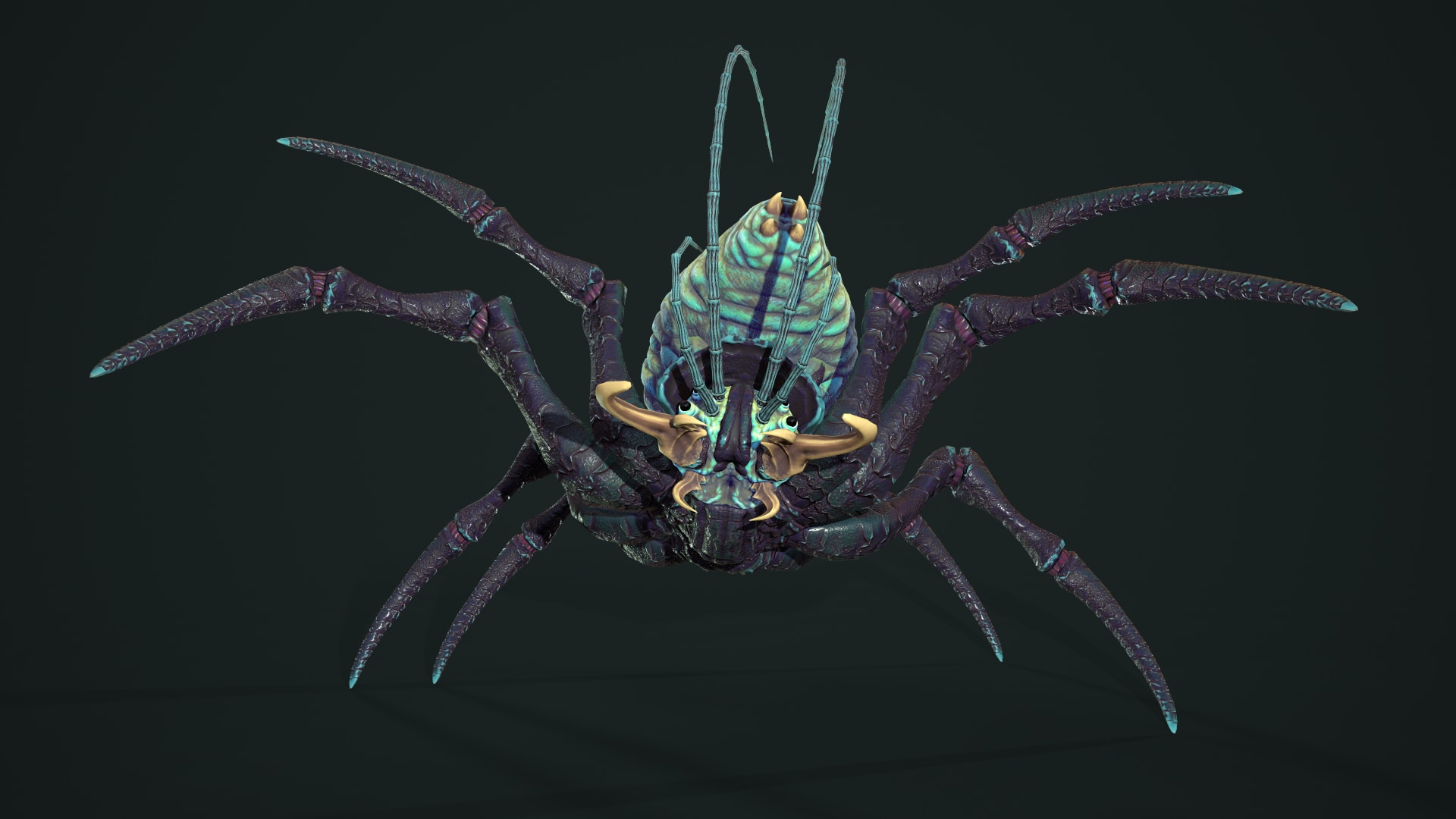 Spider Pack_2, 카테고리 캐릭터 - UE 마켓플레이스