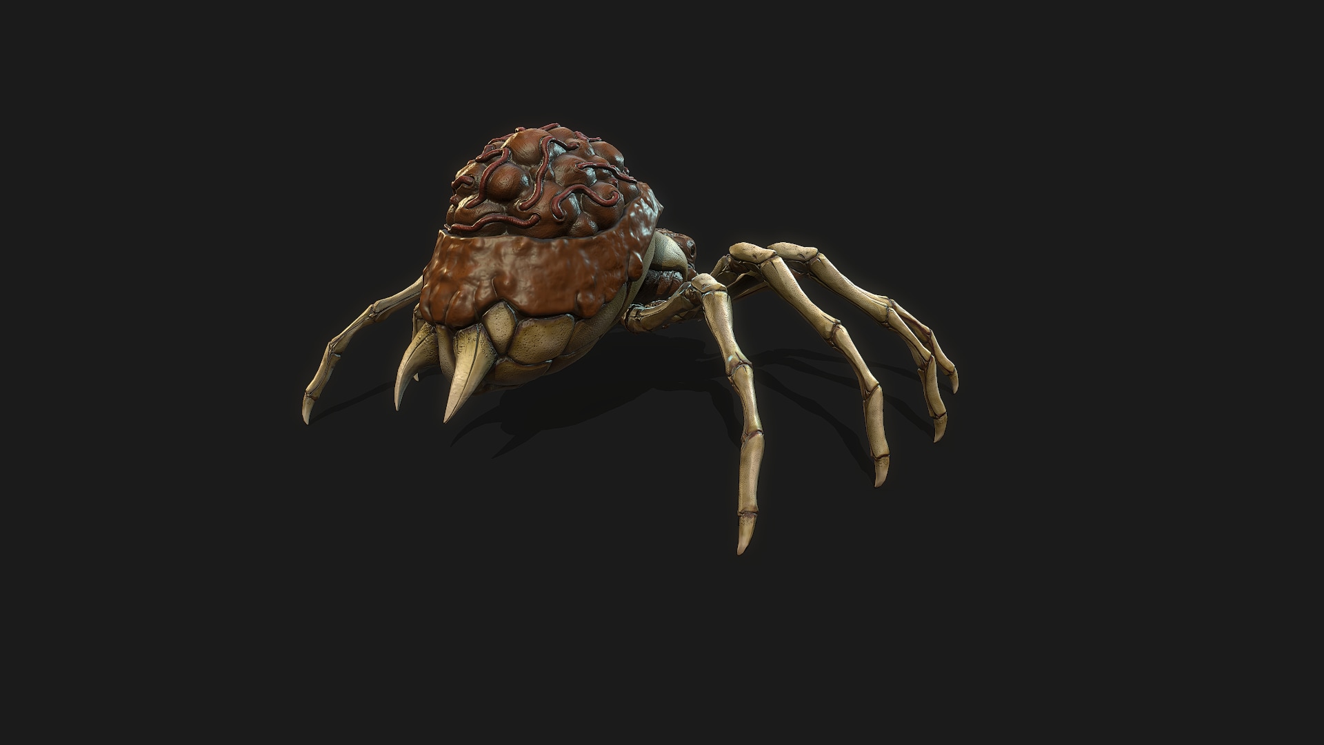 Spider 1 in Characters - UE Marketplace