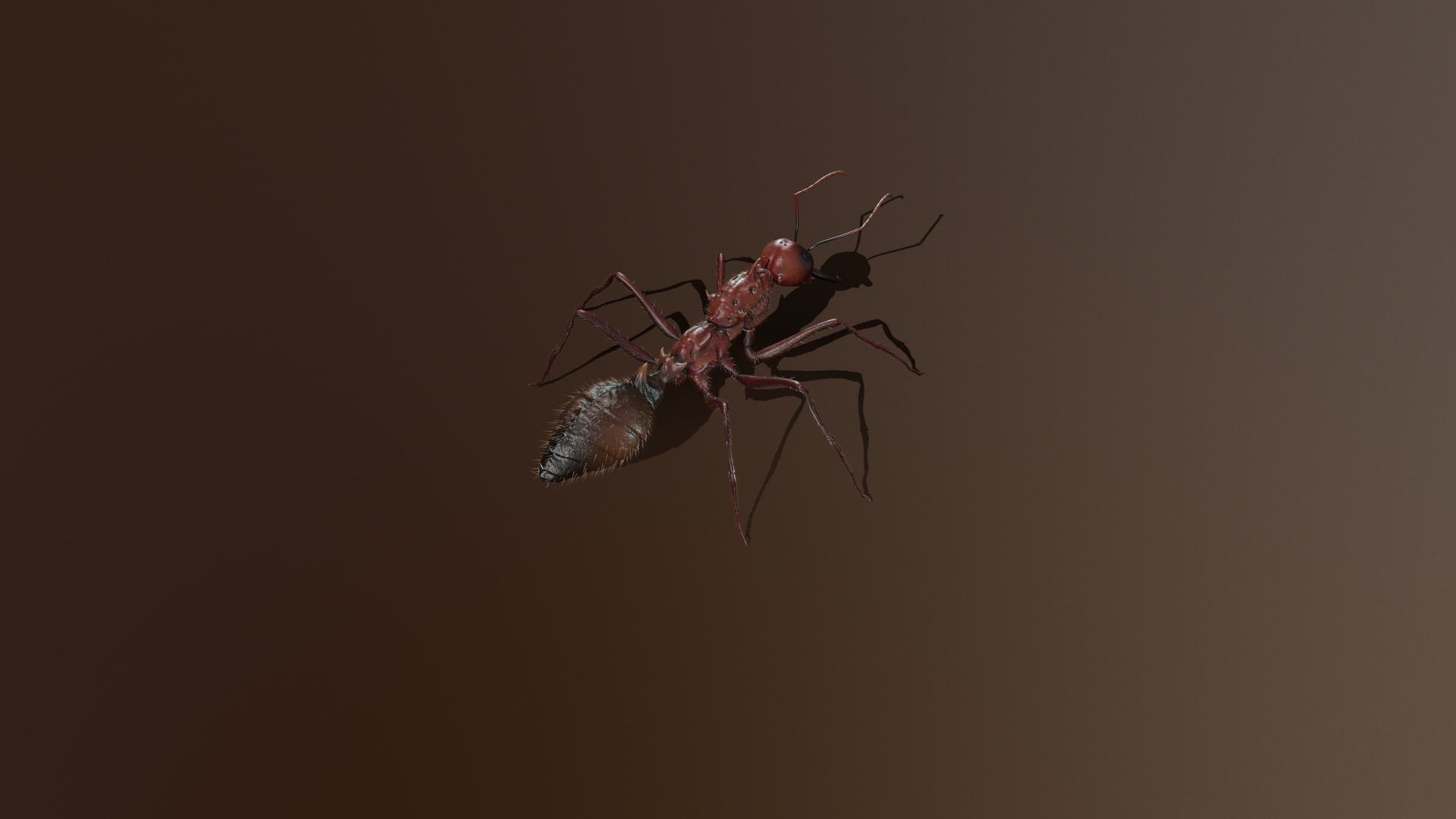 Ant_Soldier in Characters - UE Marketplace