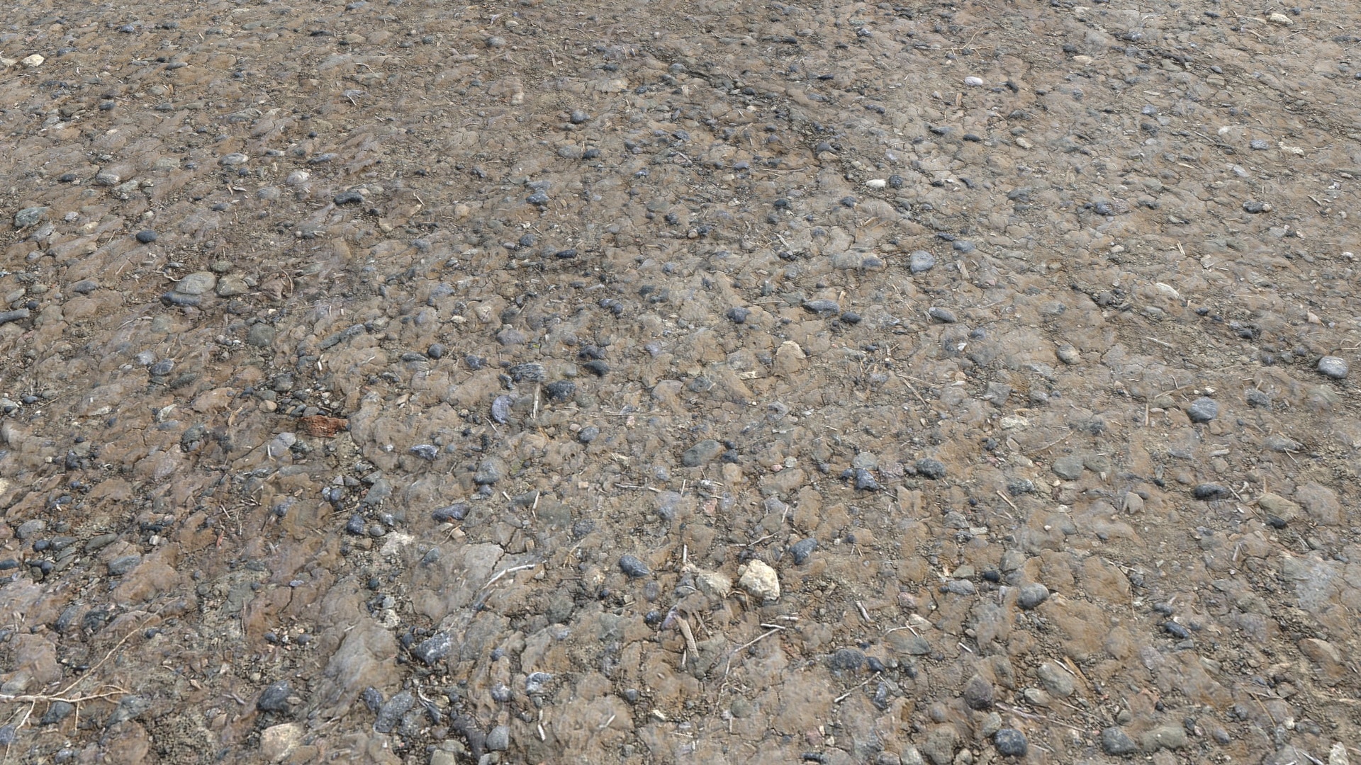 Dirt Road Texture Seamless