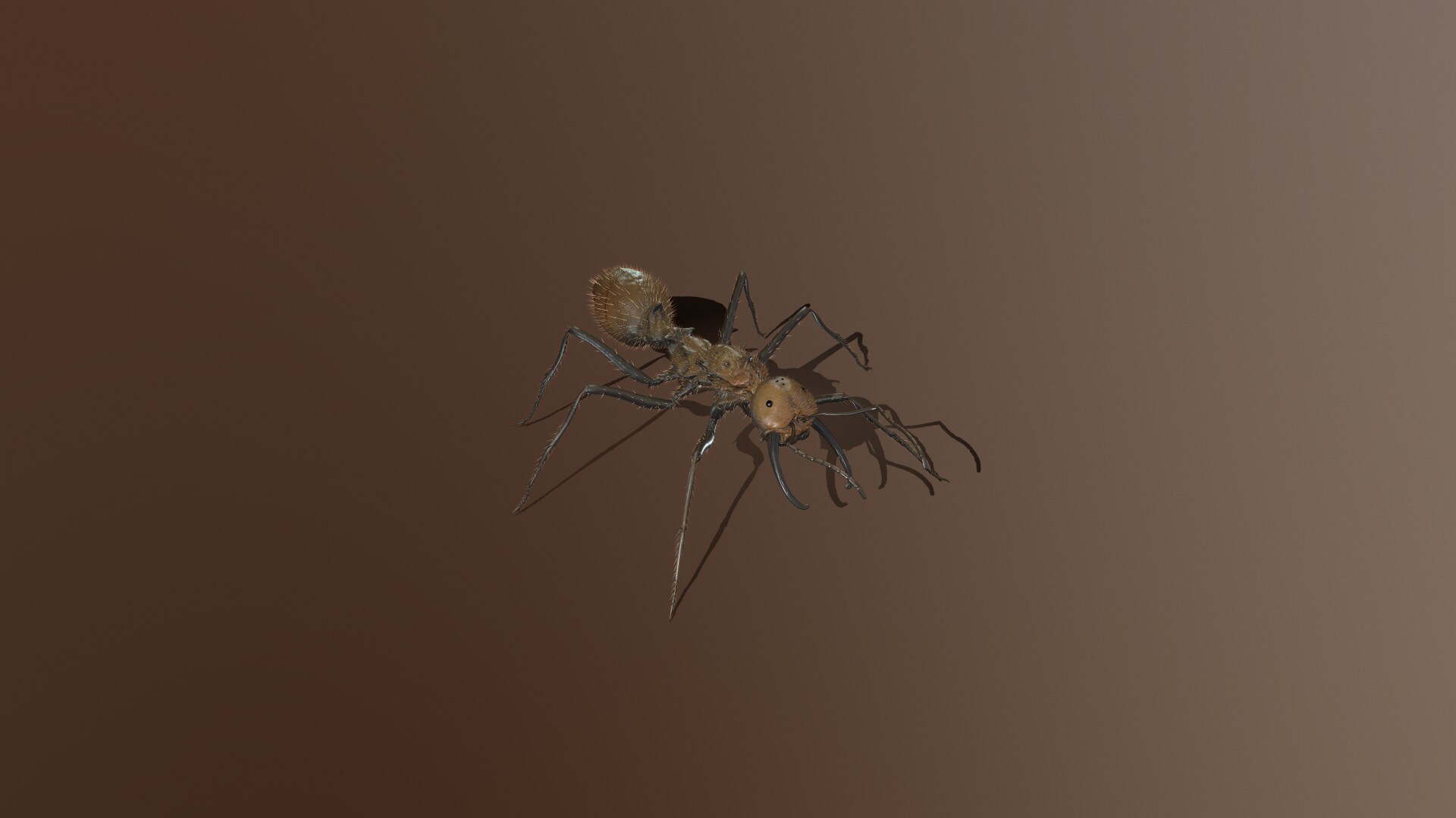 Ant_Soldier in Characters - UE Marketplace