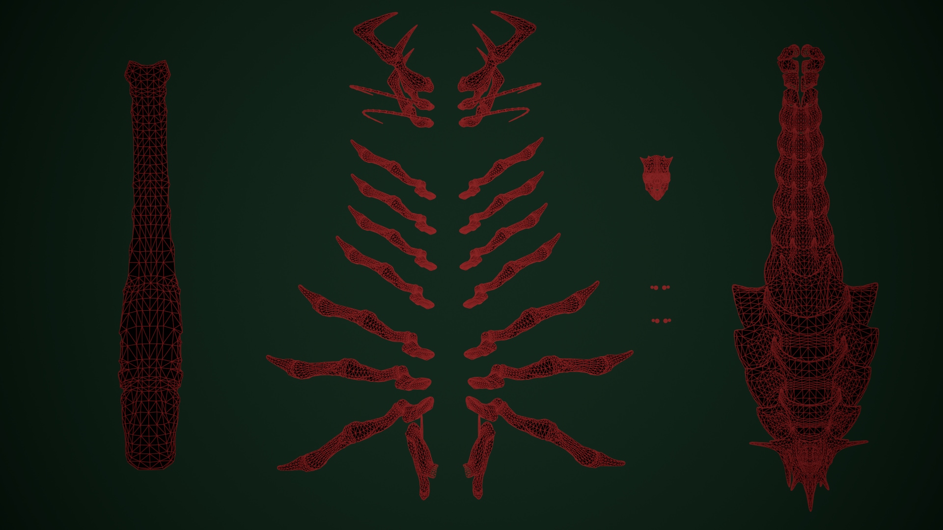 Centipede skull in Characters - UE Marketplace