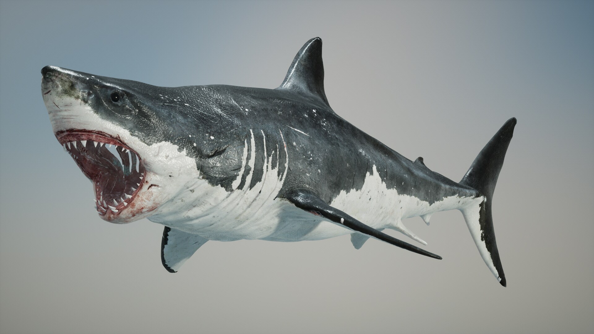 Shark in Characters - UE Marketplace