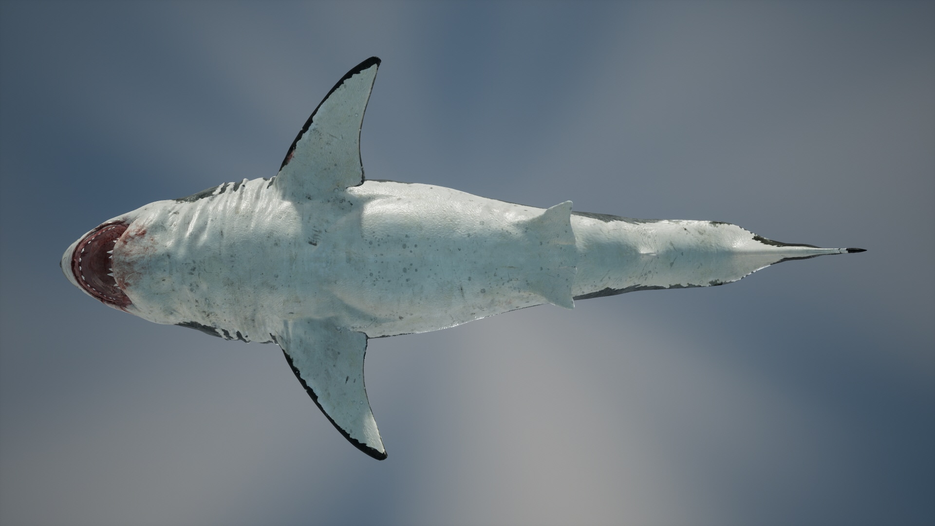 Shark in Characters - UE Marketplace