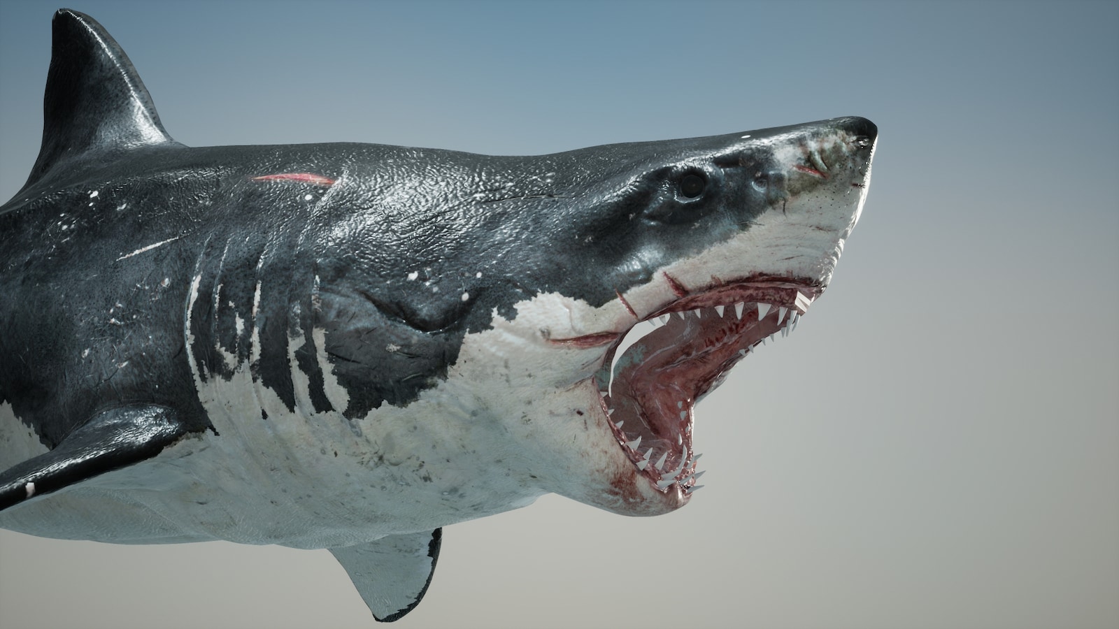 Shark in Characters - UE Marketplace