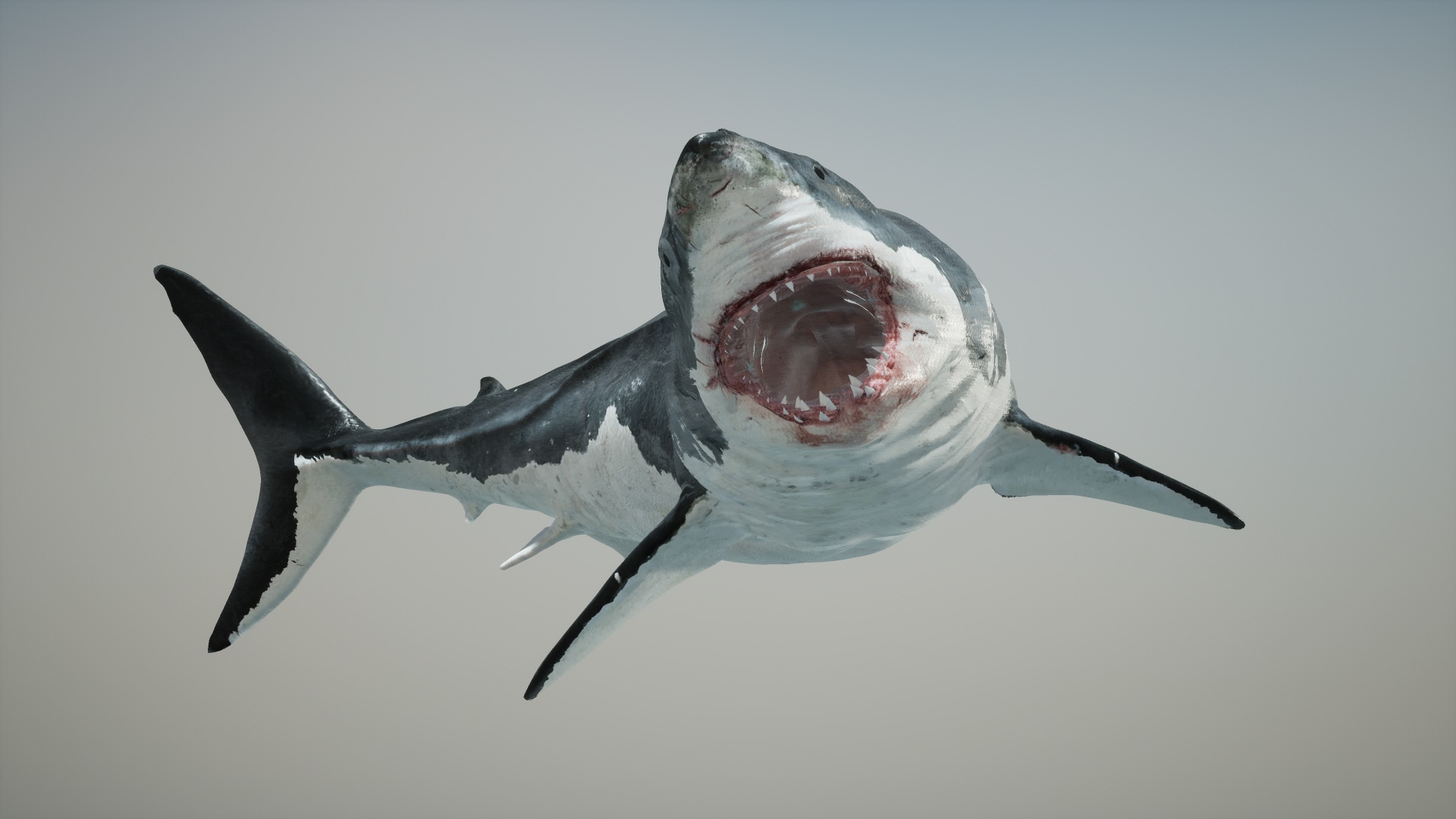 Shark in Characters - UE Marketplace