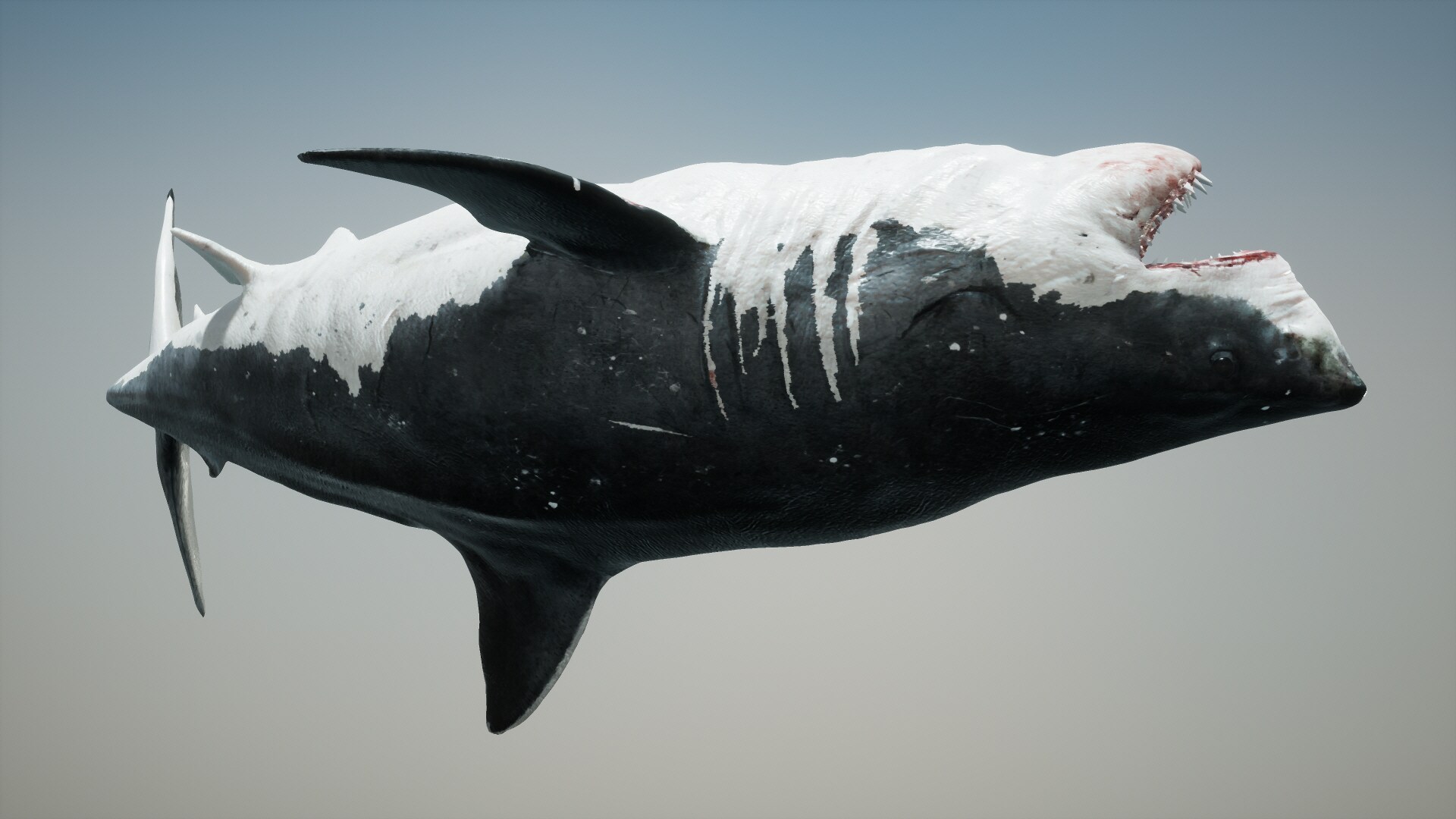 Shark in Characters - UE Marketplace