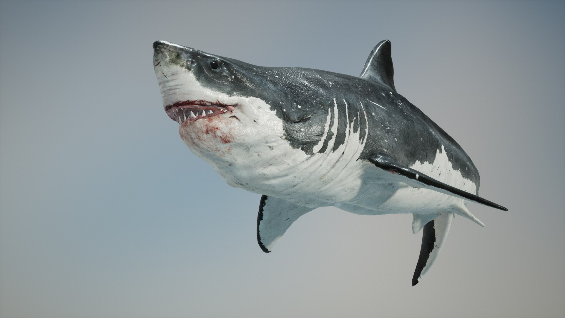 Shark in Characters - UE Marketplace