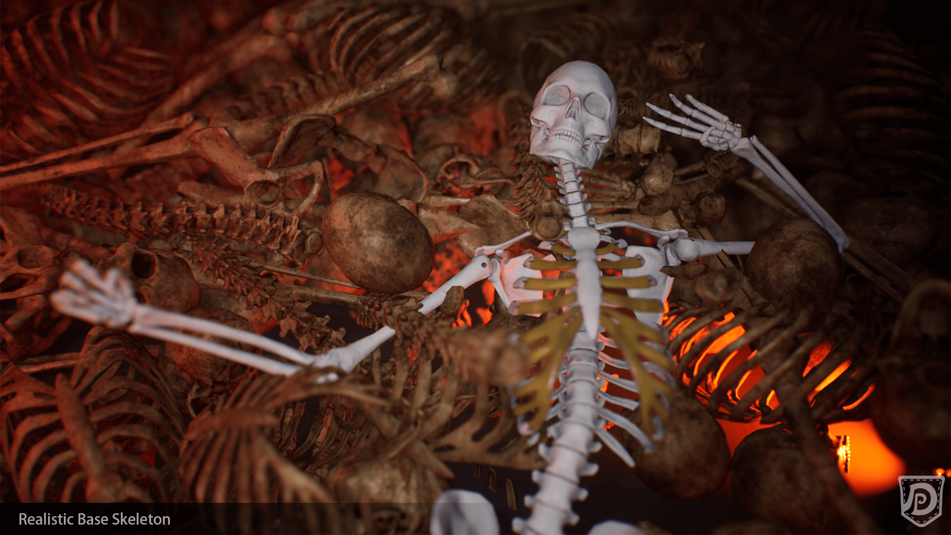 Realistic Base Skeleton