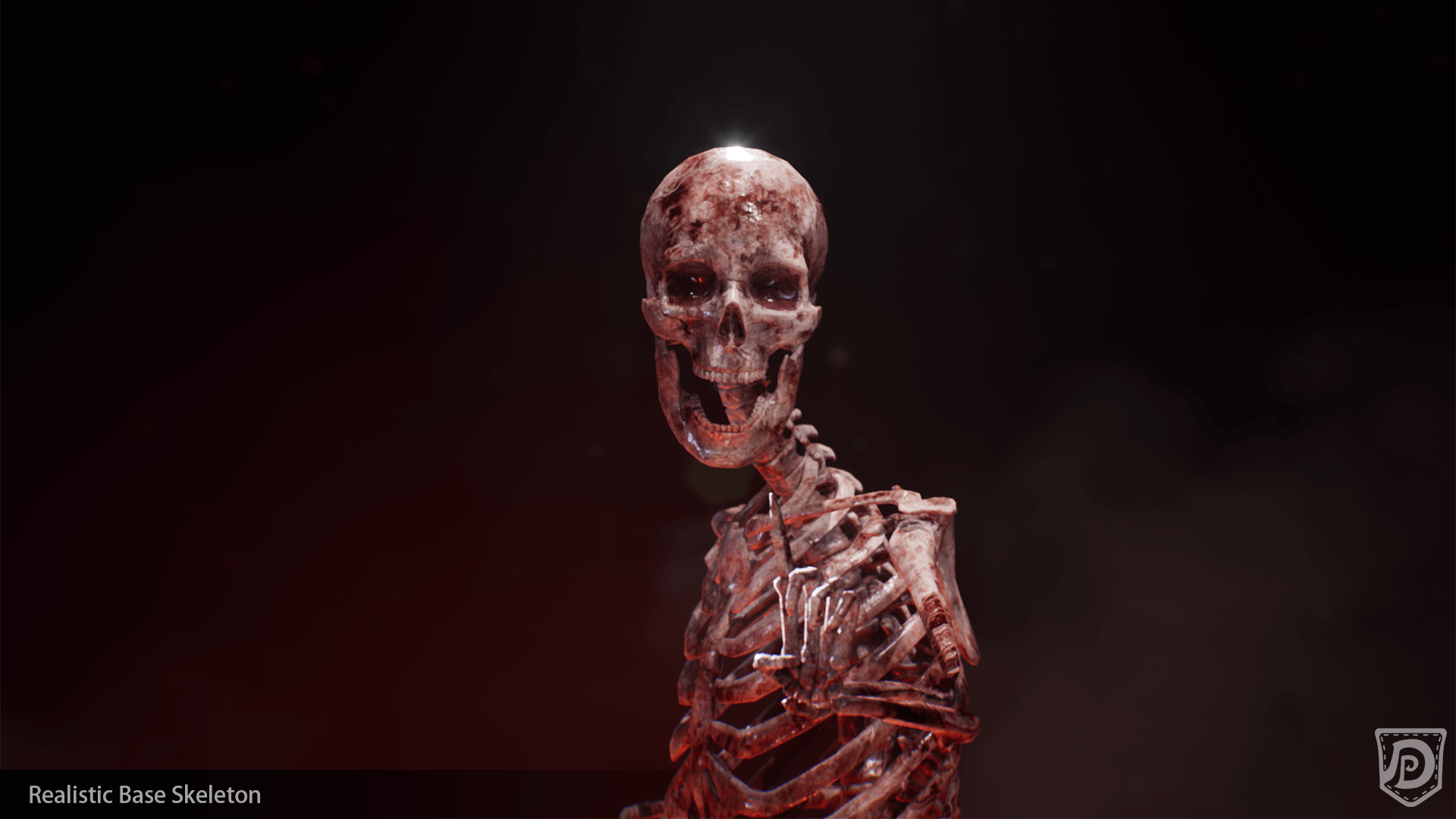 Realistic Base Skeleton