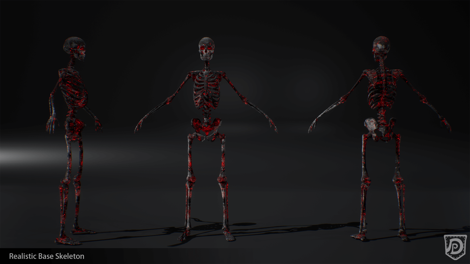Realistic Base Skeleton