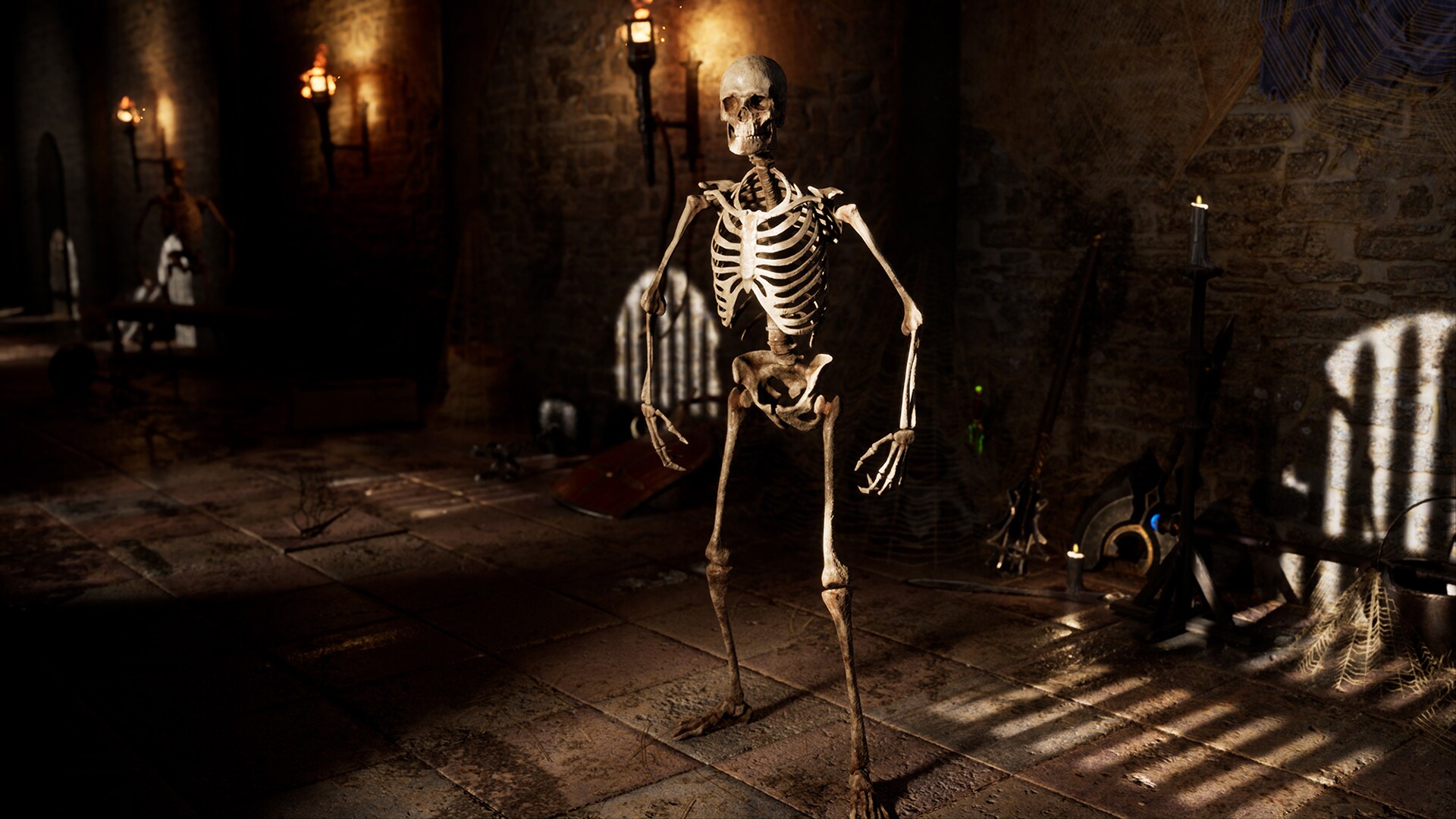 Skeleton set, 카테고리 캐릭터 - UE 마켓플레이스