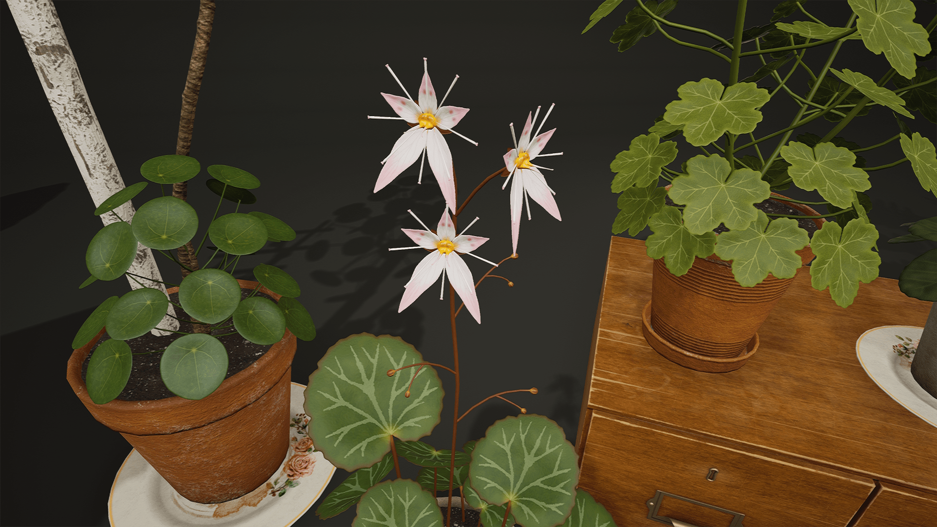 House Plants Pack in Props - UE Marketplace