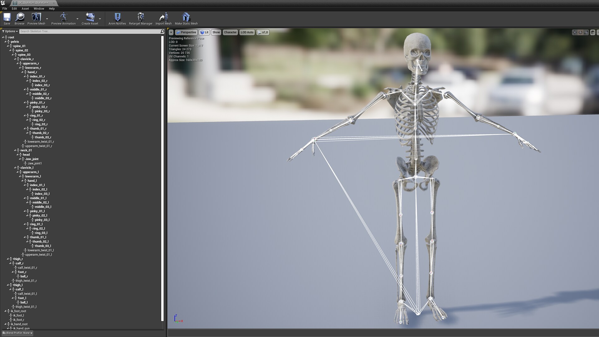 Human Skeleton In Characters Ue Marketplace