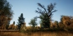 Realistic Autumn Forest Location 2x2 in Environments - UE Marketplace