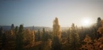 Realistic Autumn Forest Location 2x2 in Environments - UE Marketplace