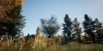 Realistic Autumn Forest Location 2x2 in Environments - UE Marketplace